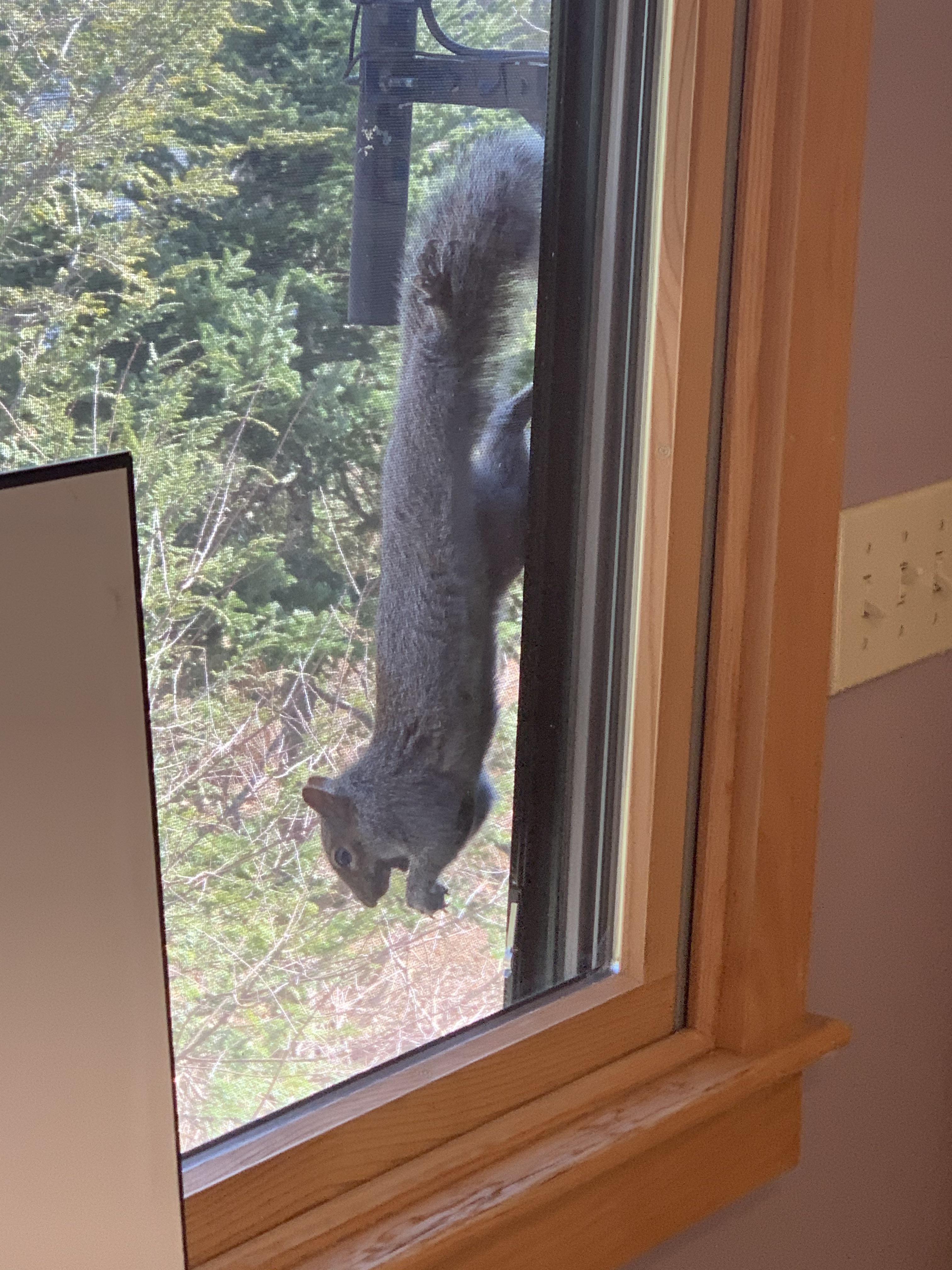 Mid peanut snack break.... | Scrolller