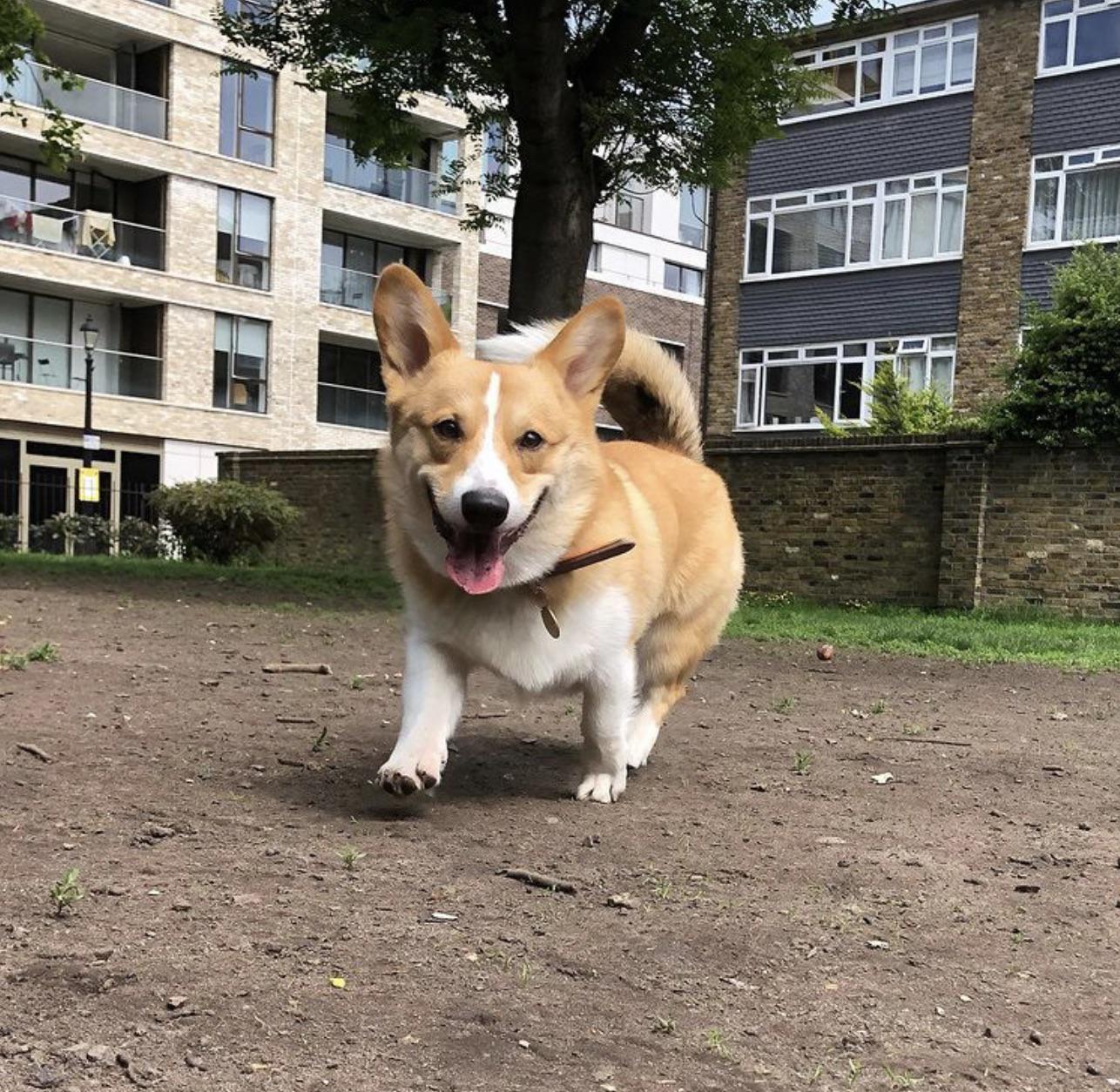 Mid sprint | Scrolller