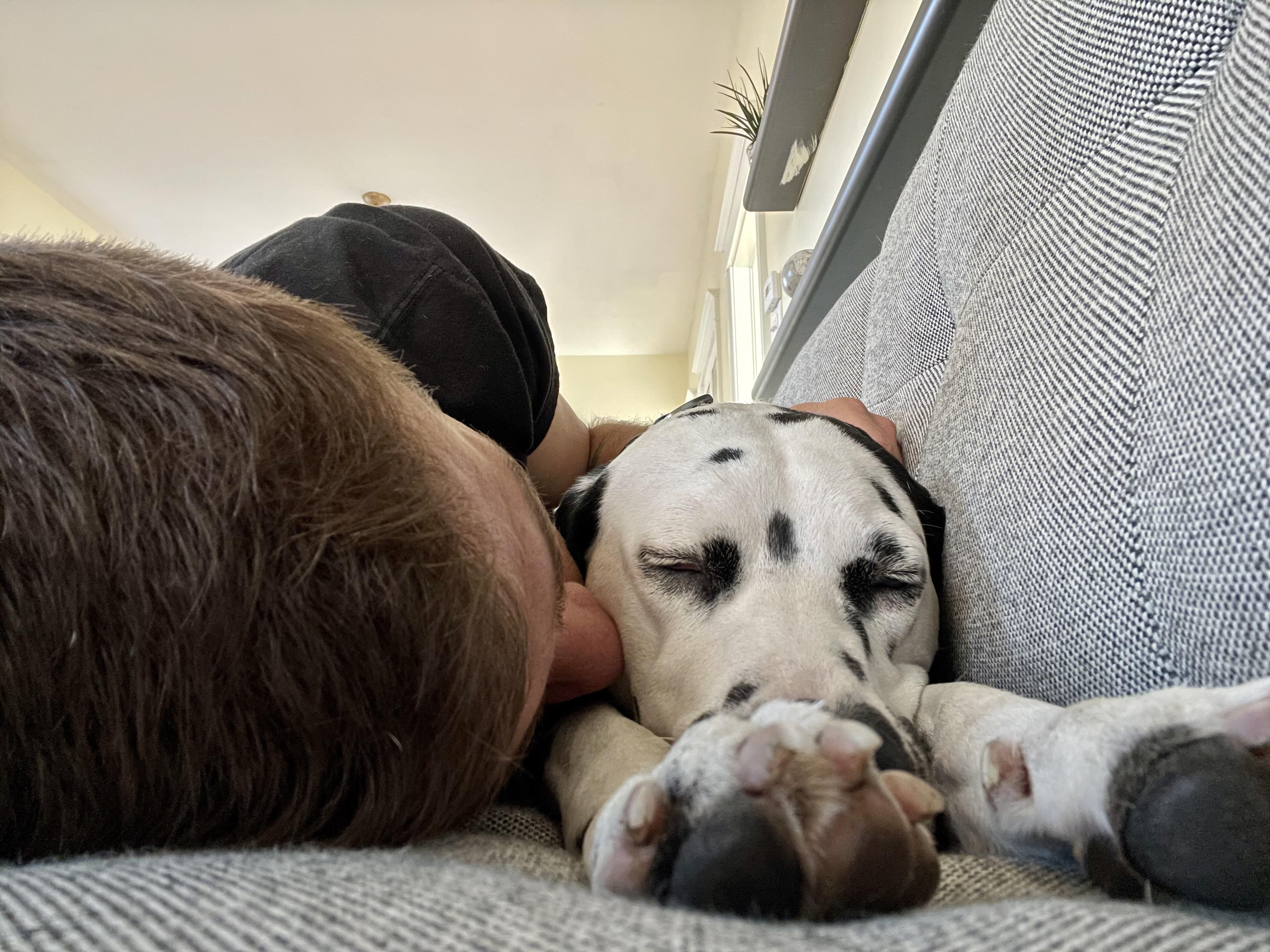 Midday naps | Scrolller