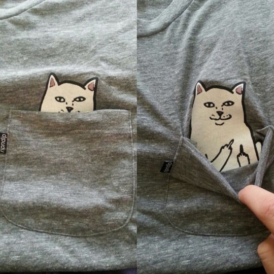 middle👕finger | Scrolller