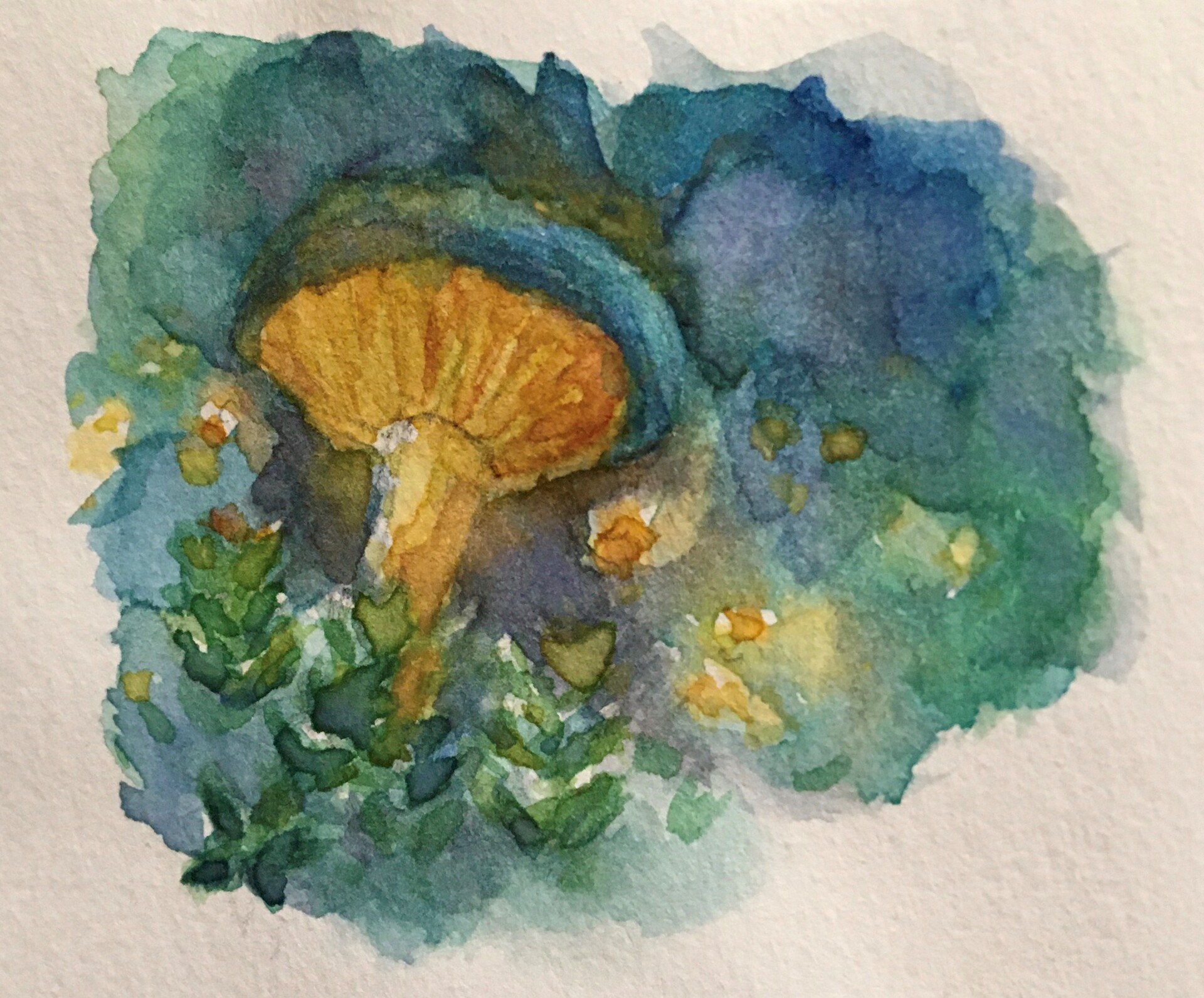 Midnight Flare | Scrolller