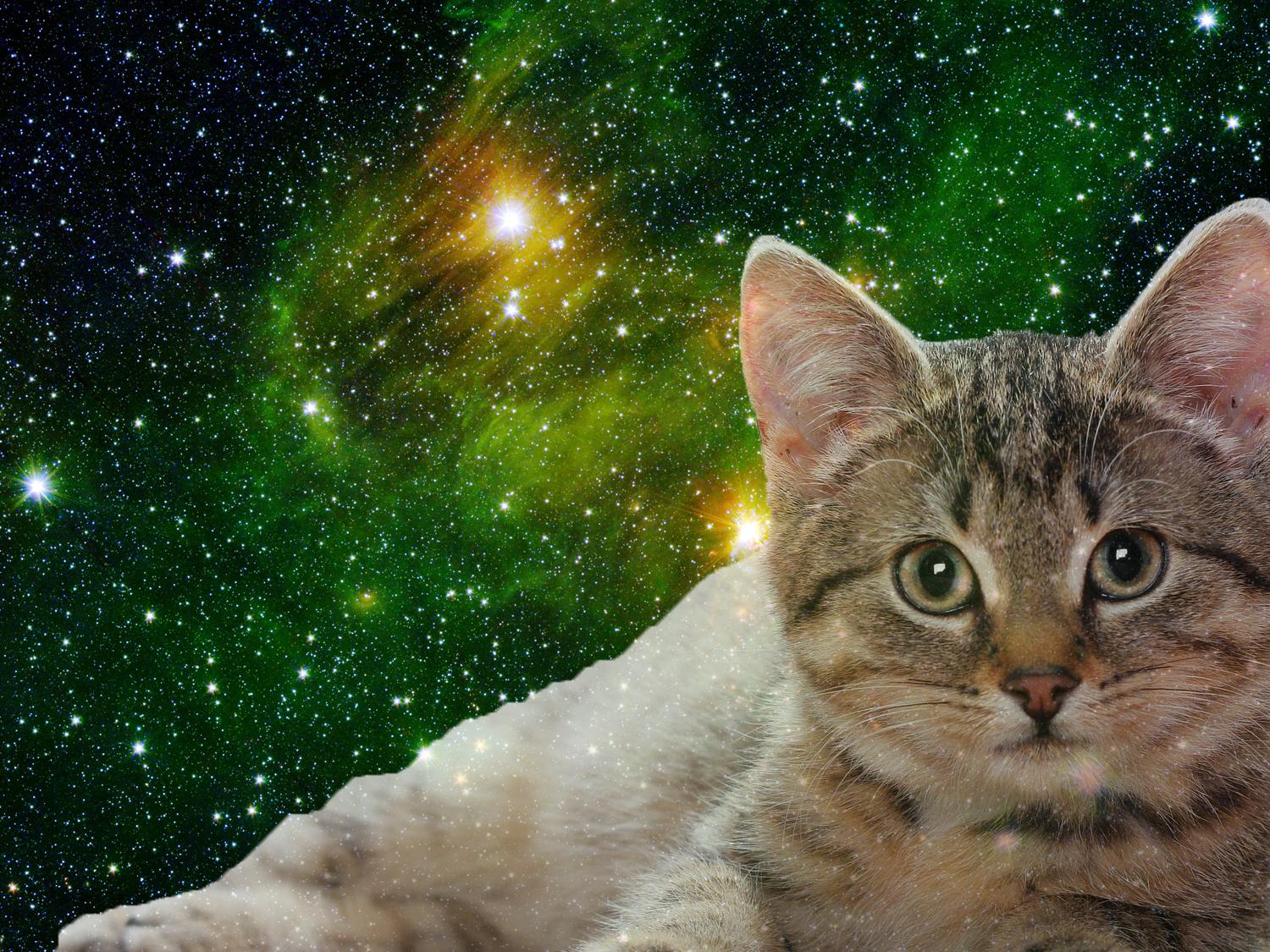 Mimsy wanders the galaxy | Scrolller