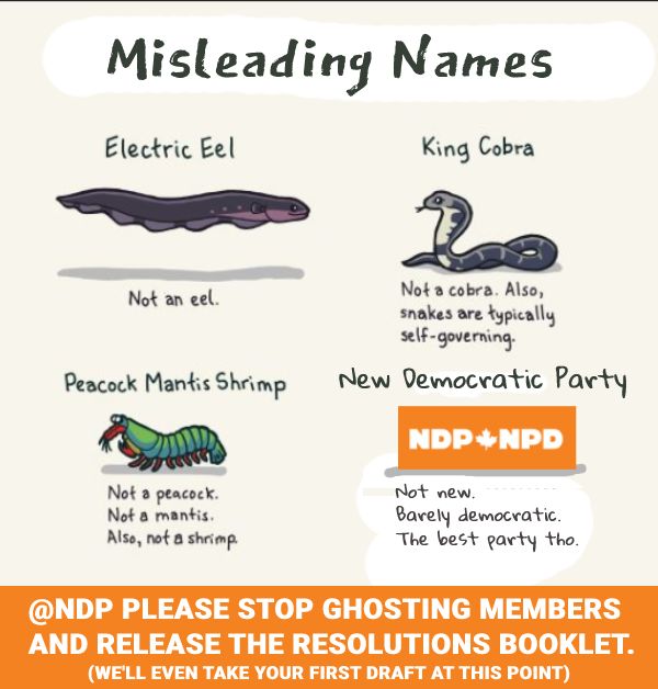 misleading names | Scrolller