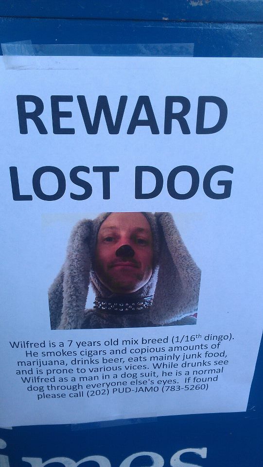 Missing Dog | Scrolller