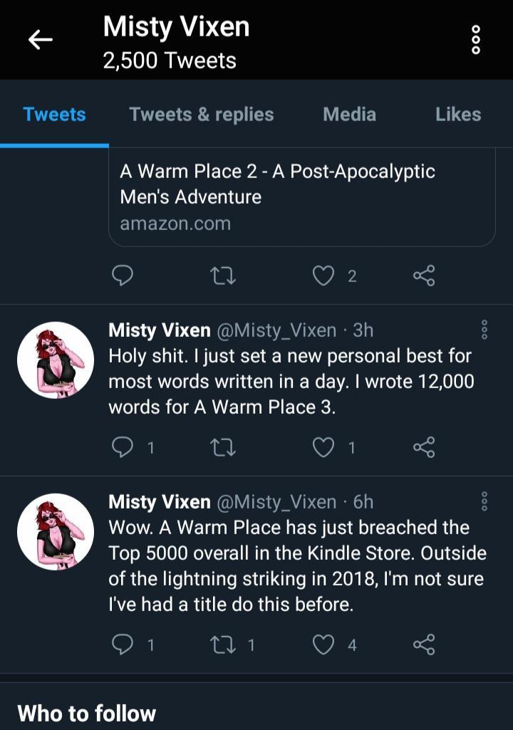 Misty Vixen, Warm Place update | Scrolller