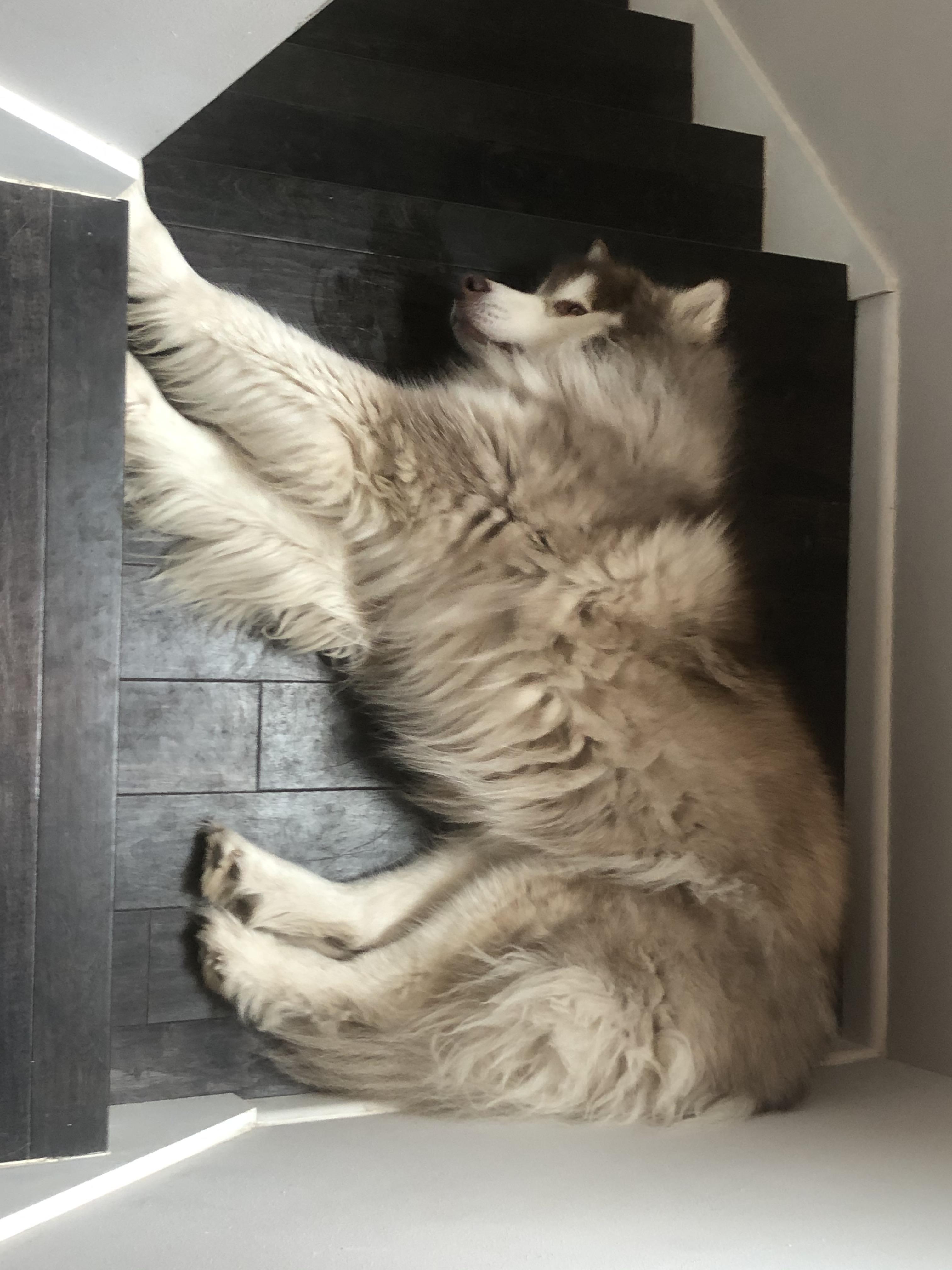 Mjolnir’s Landing | Scrolller