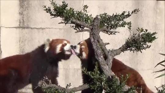 Mlem Mlem Mlem | Scrolller