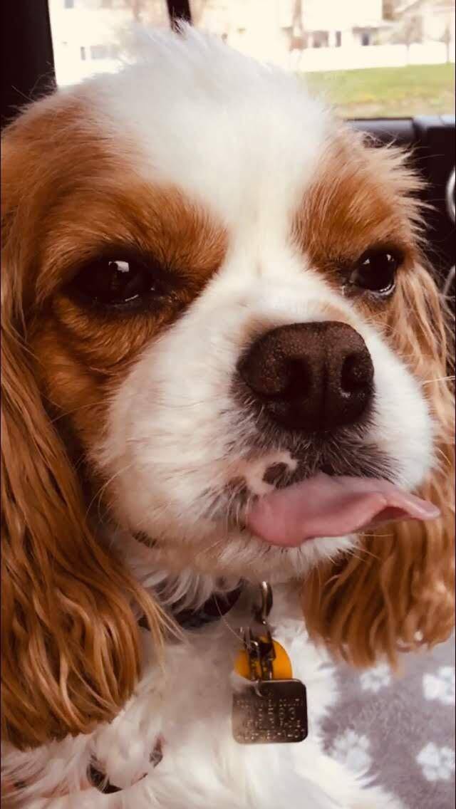 Moakly mlep | Scrolller