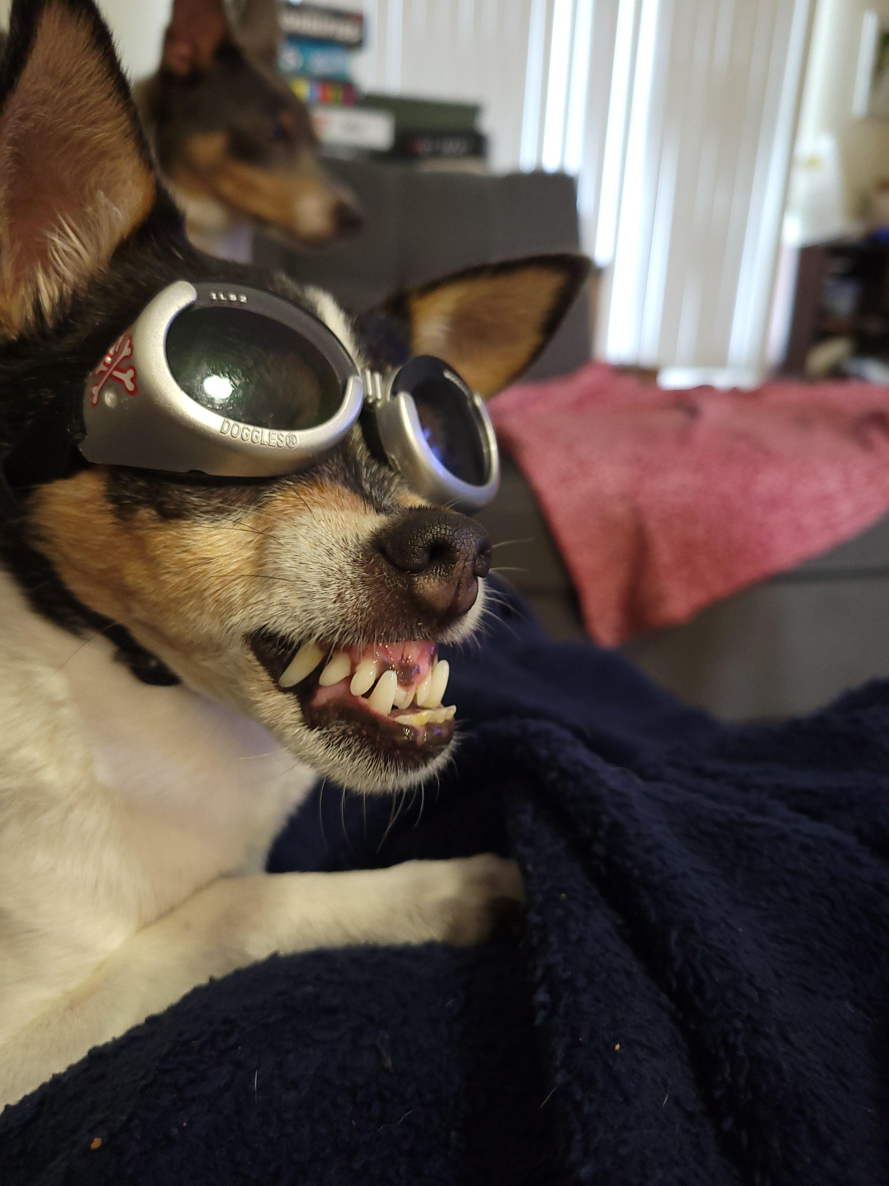 MOAR DAKKA!!! | Scrolller