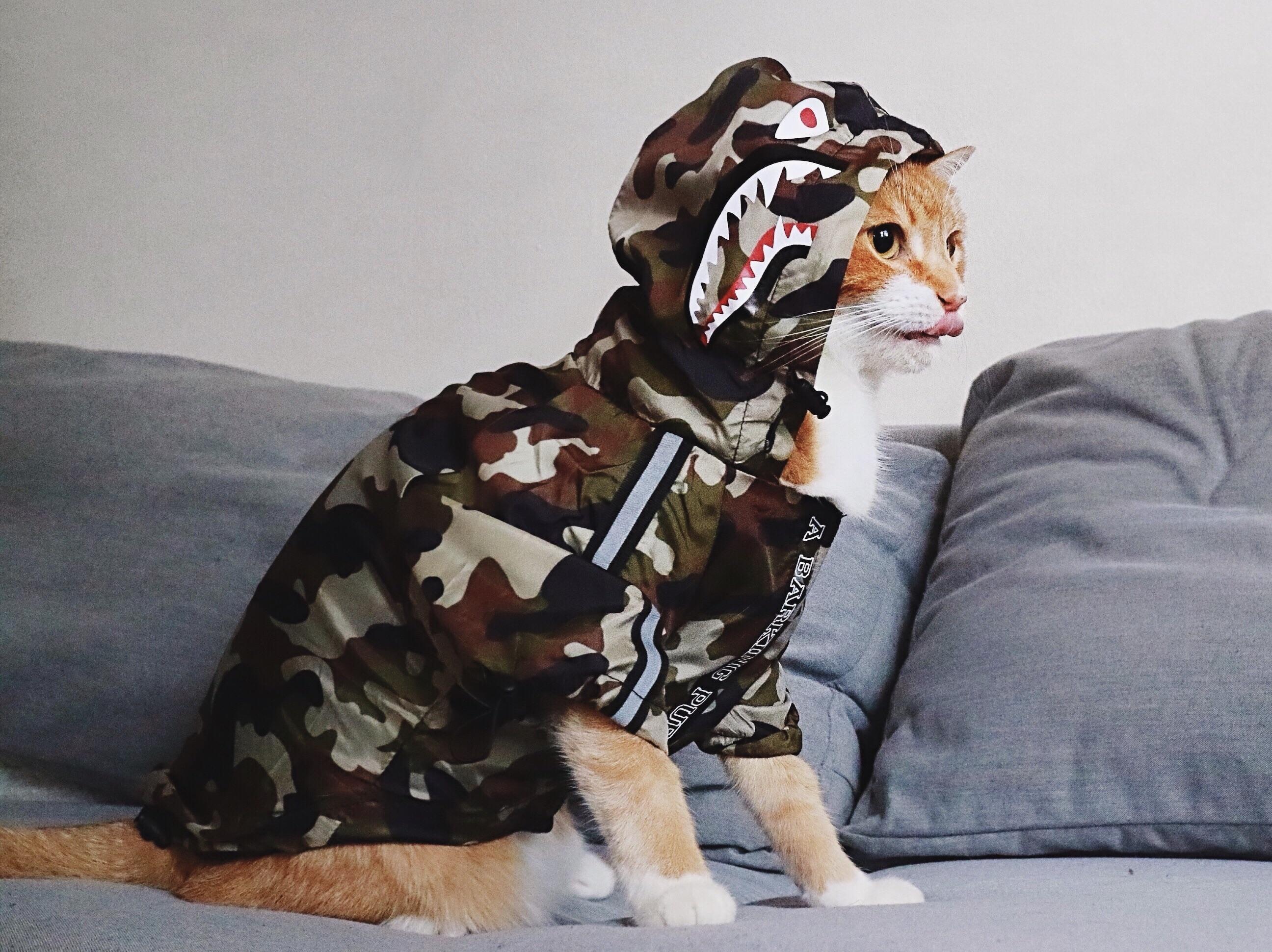 model mlep | Scrolller