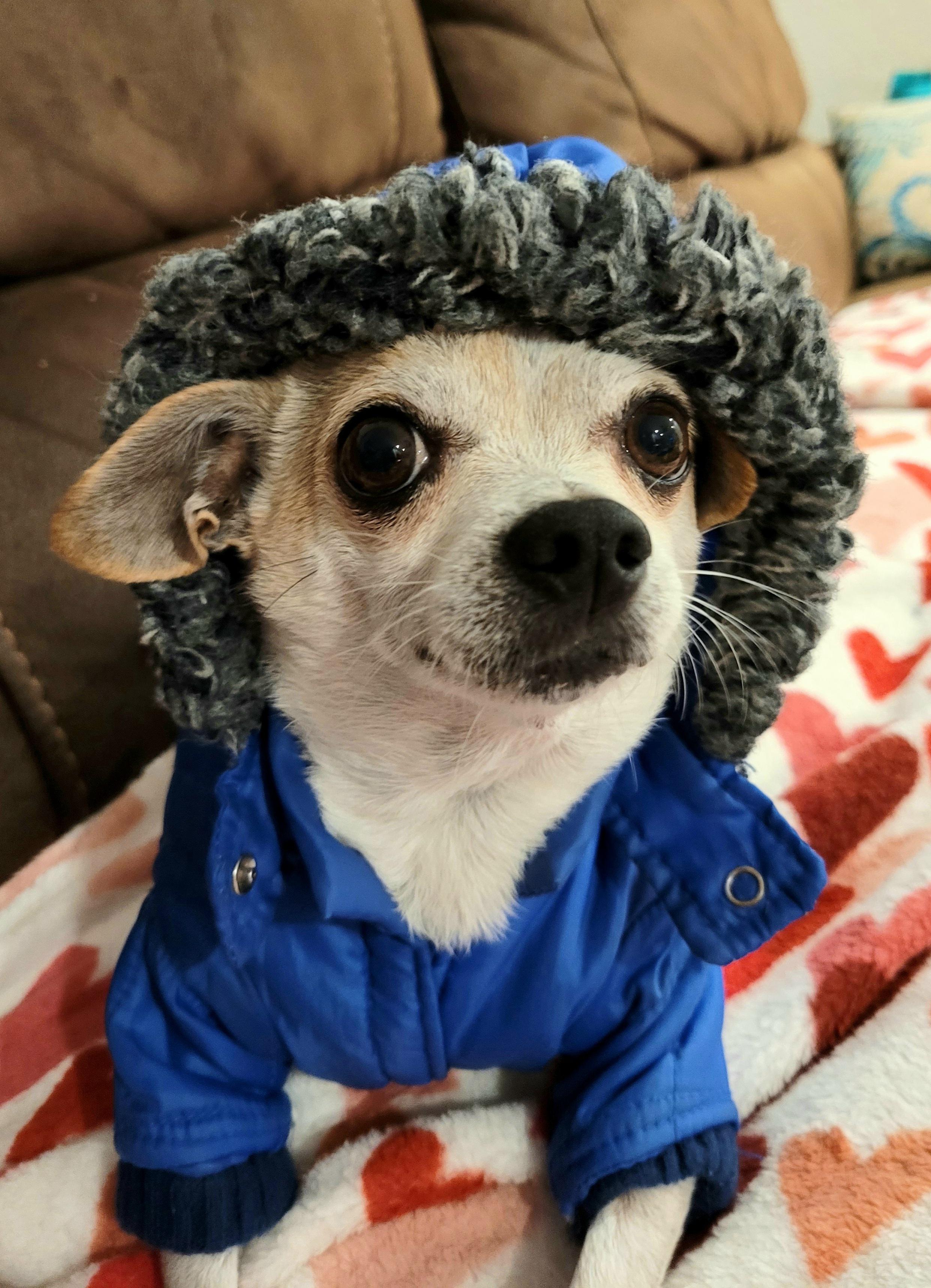 Modeling her new winter coat! | Scrolller