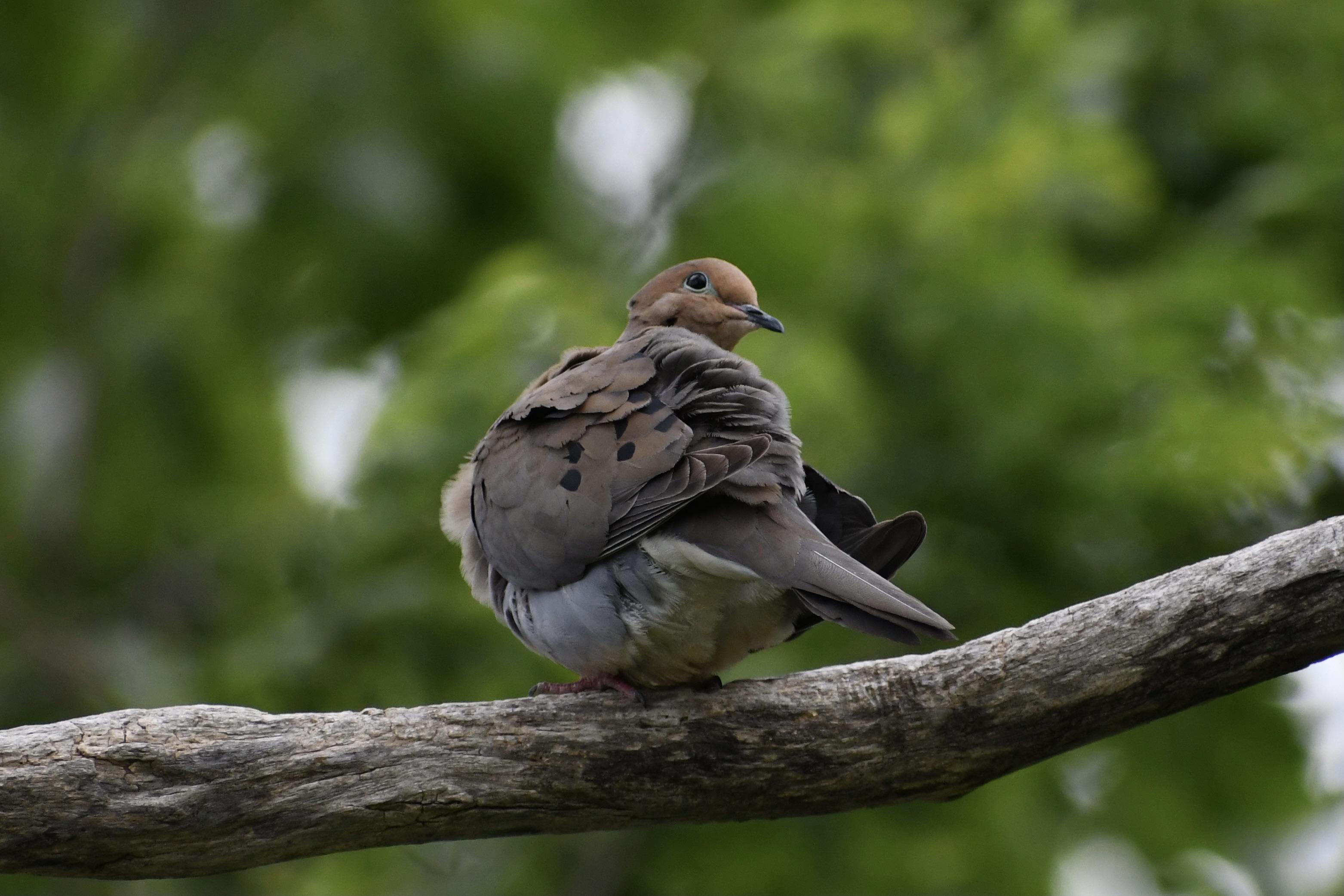 modo with the curves | Scrolller