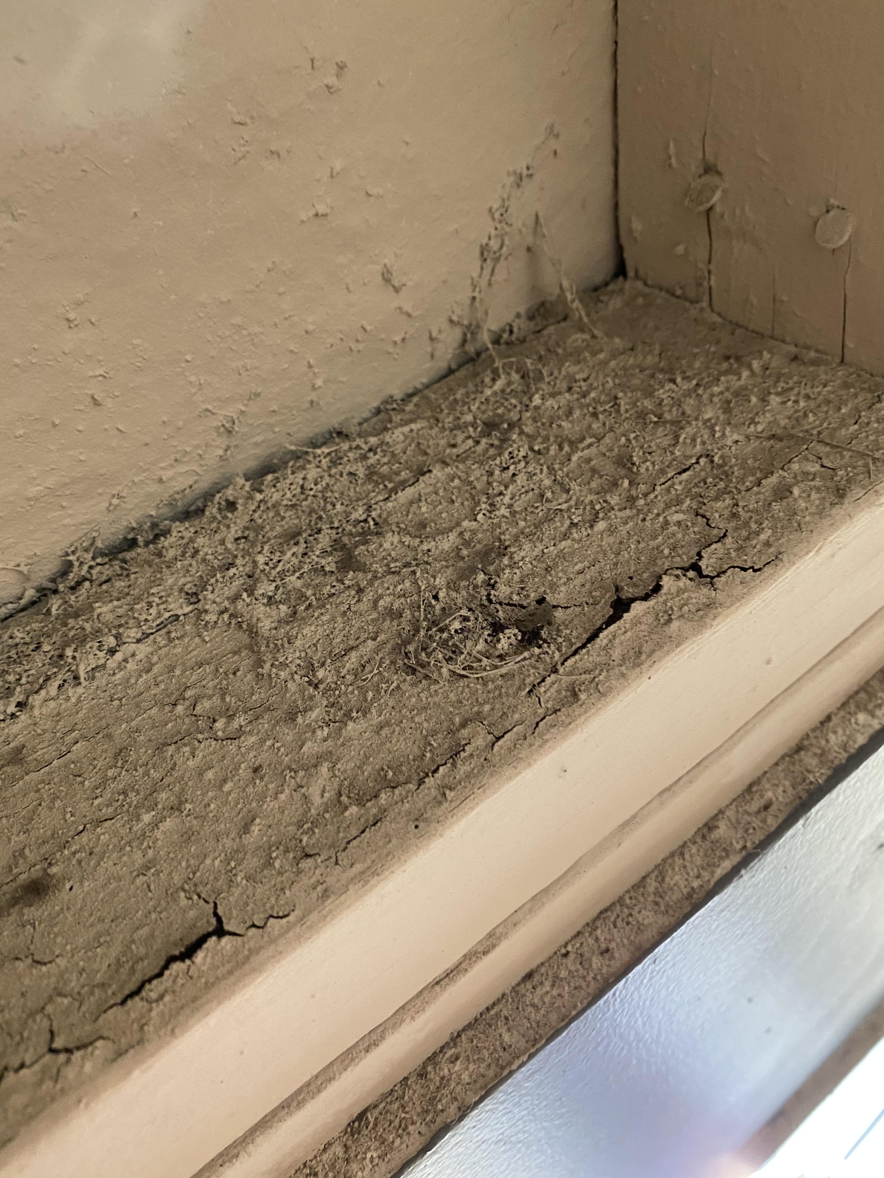 Mold or a on something else? This is on old wood. | Scrolller