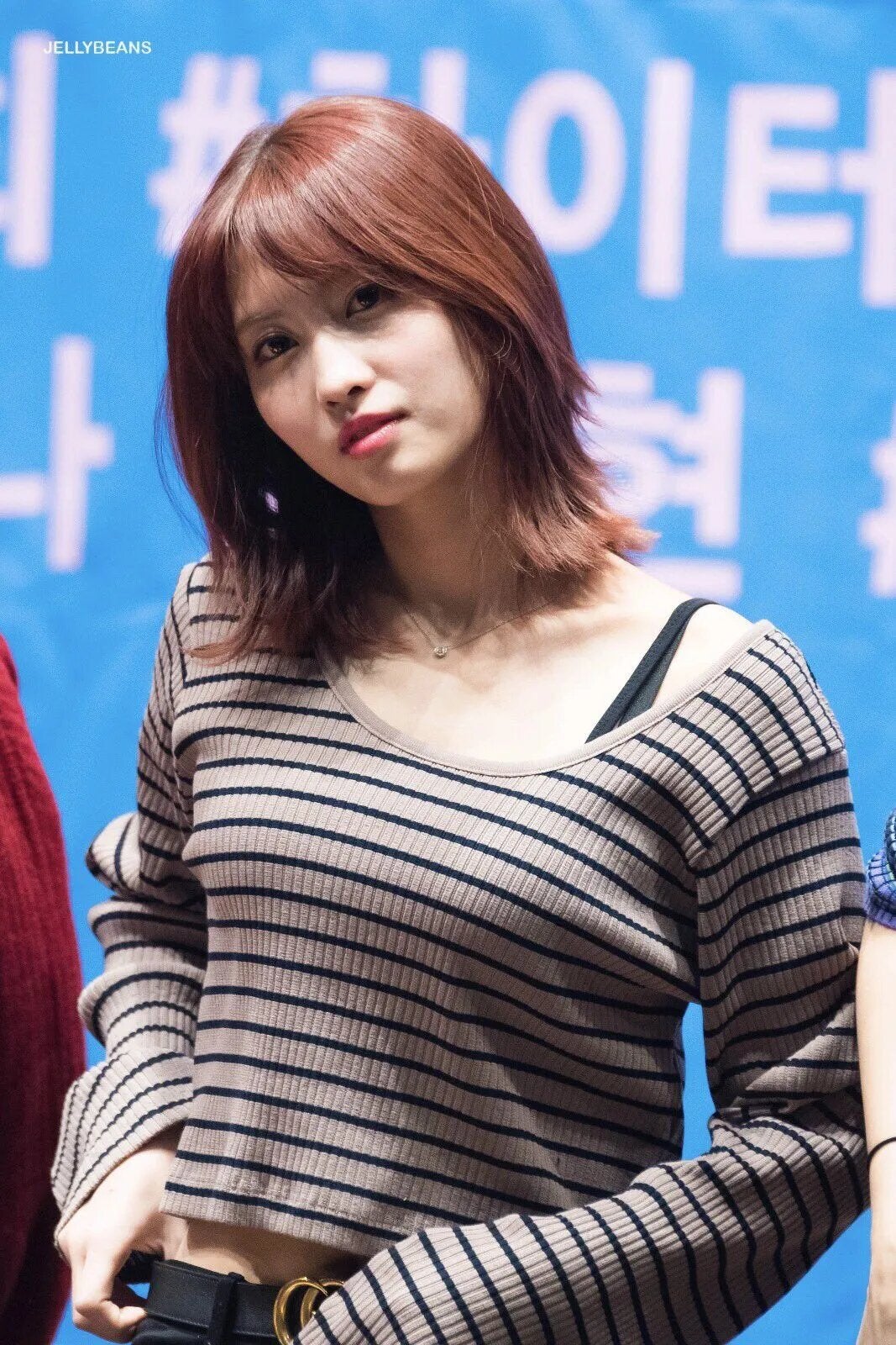 Momo Scrolller