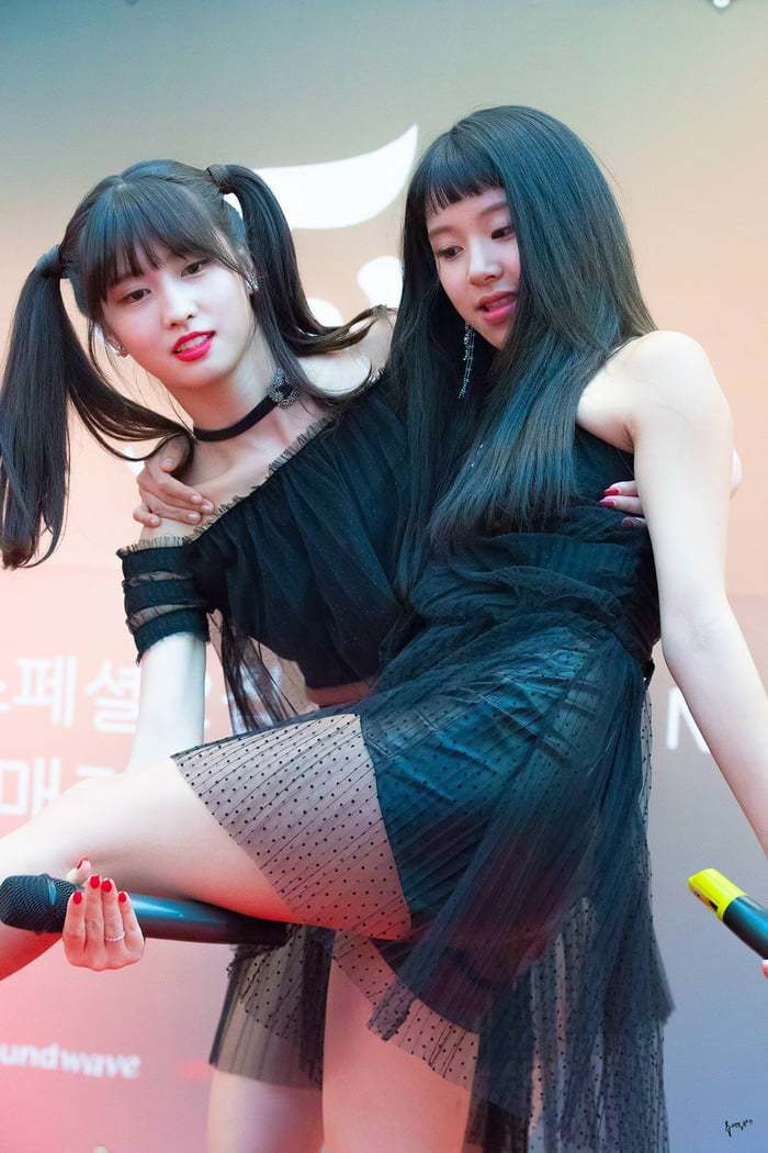 Momo Chaeyoung | Scrolller