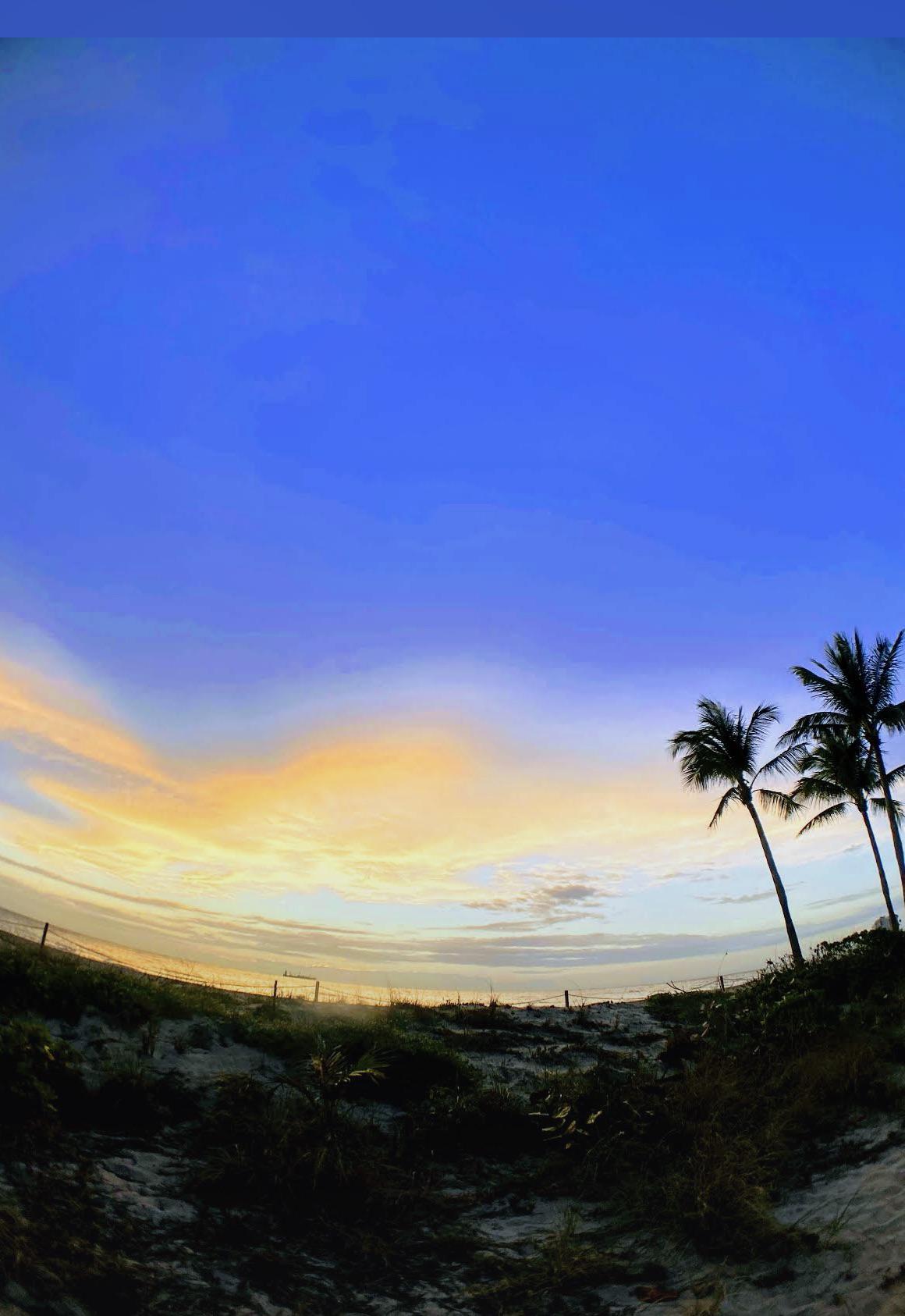 Monday Monday pro 12 max | Scrolller