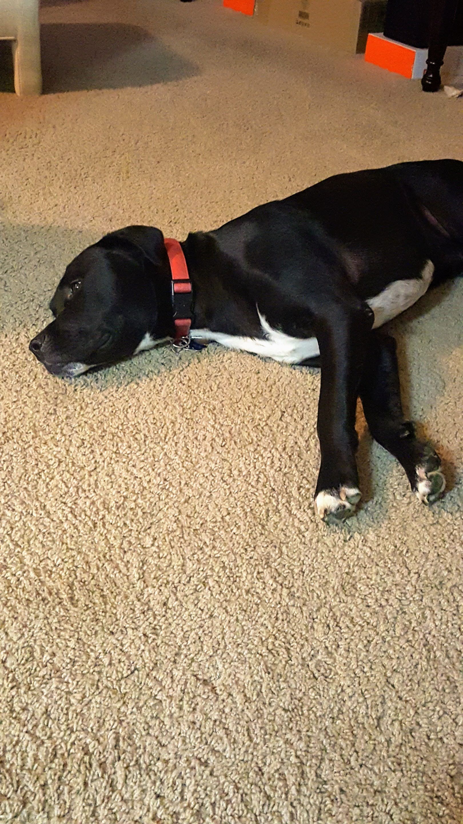 Monday Mood 🙃 | Scrolller