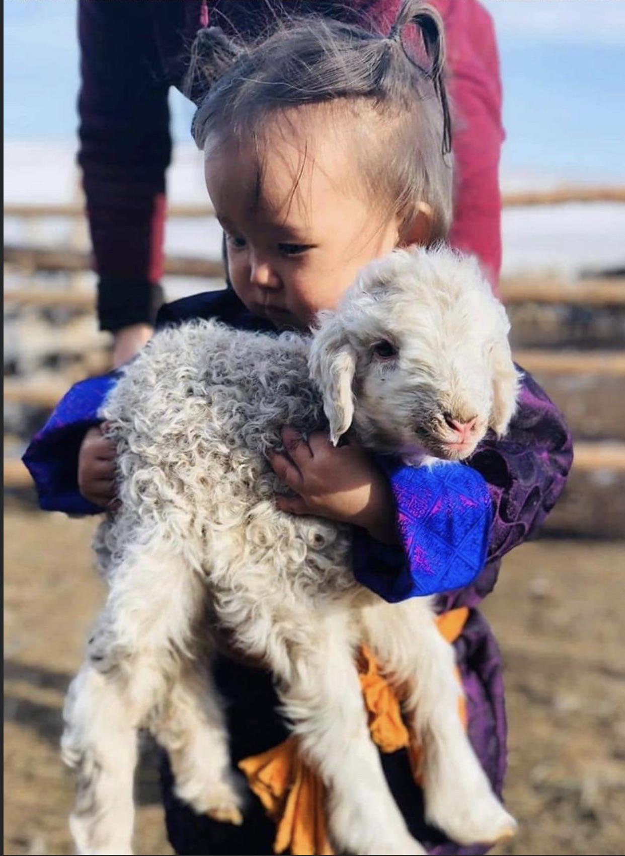 Mongolian girl with her pet lamb | Scrolller