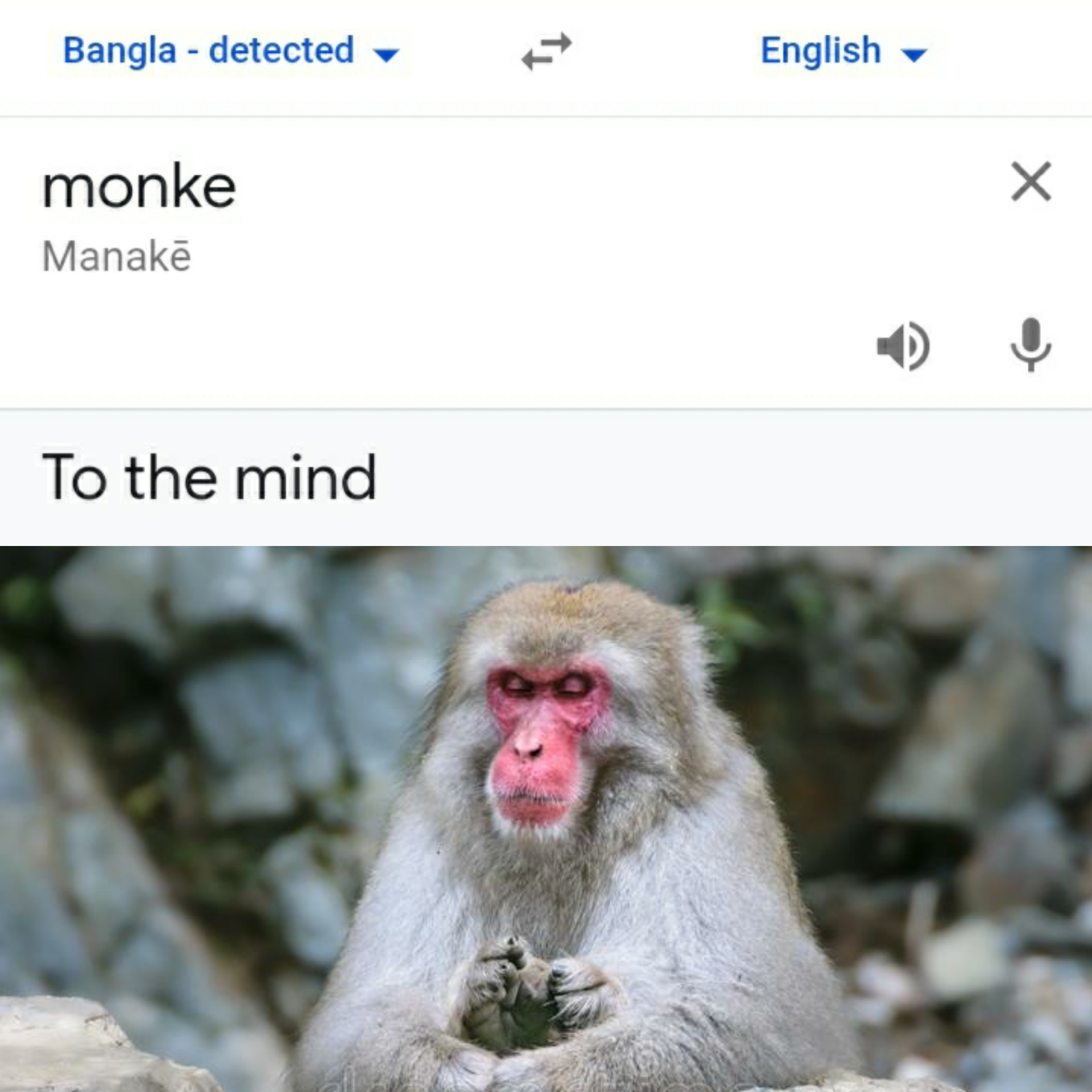 Monke Brain is Smart | Scrolller