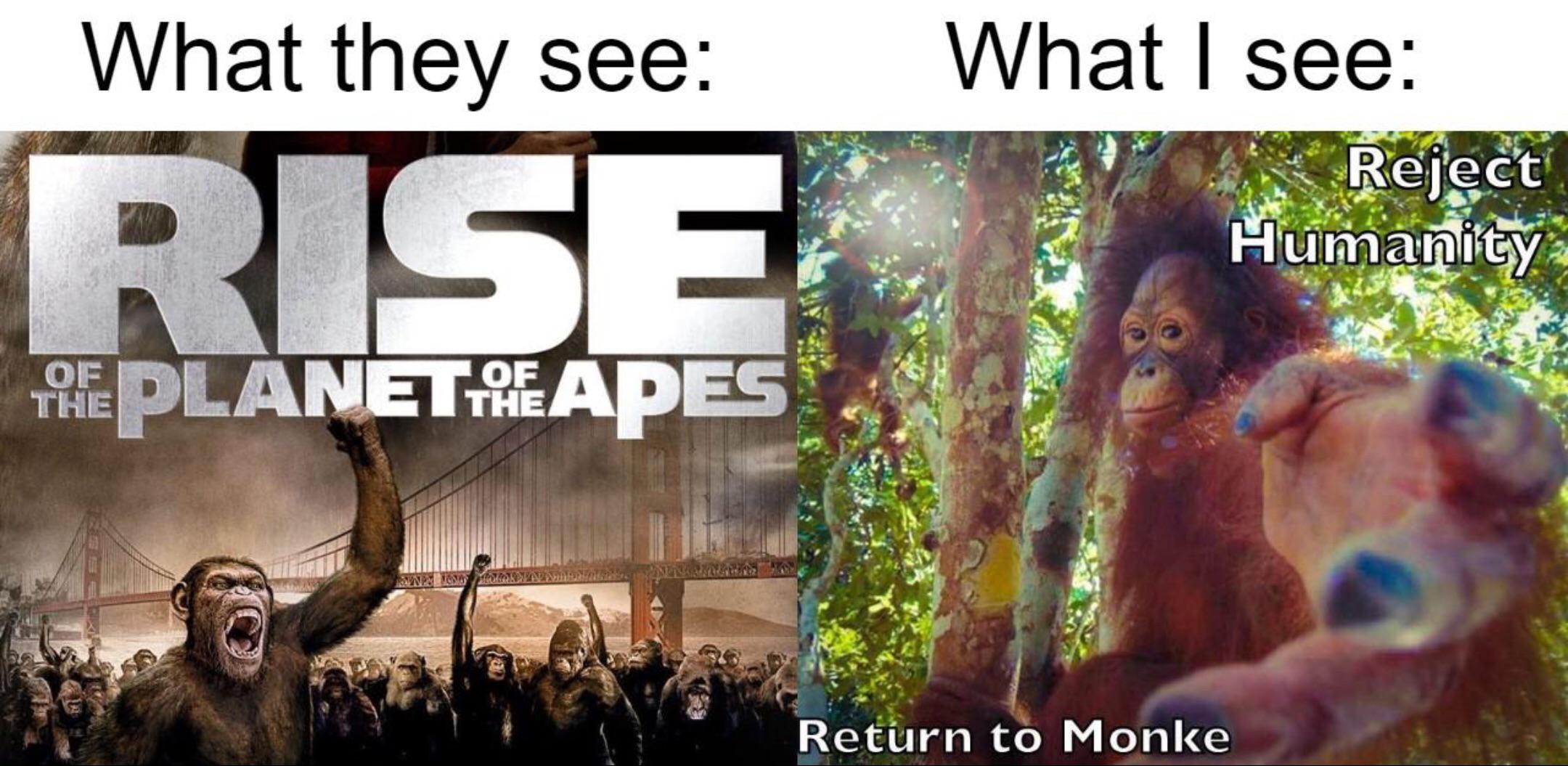 Monke meme | Scrolller