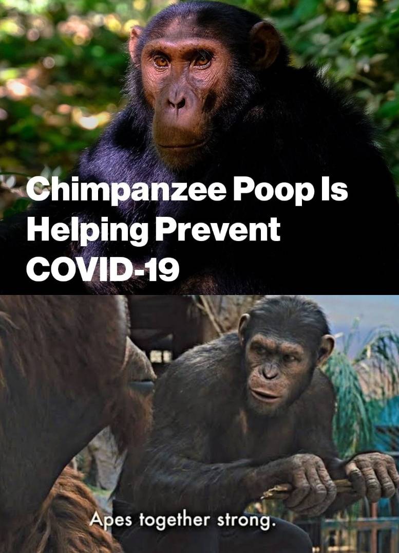 monke see, monke poo | Scrolller