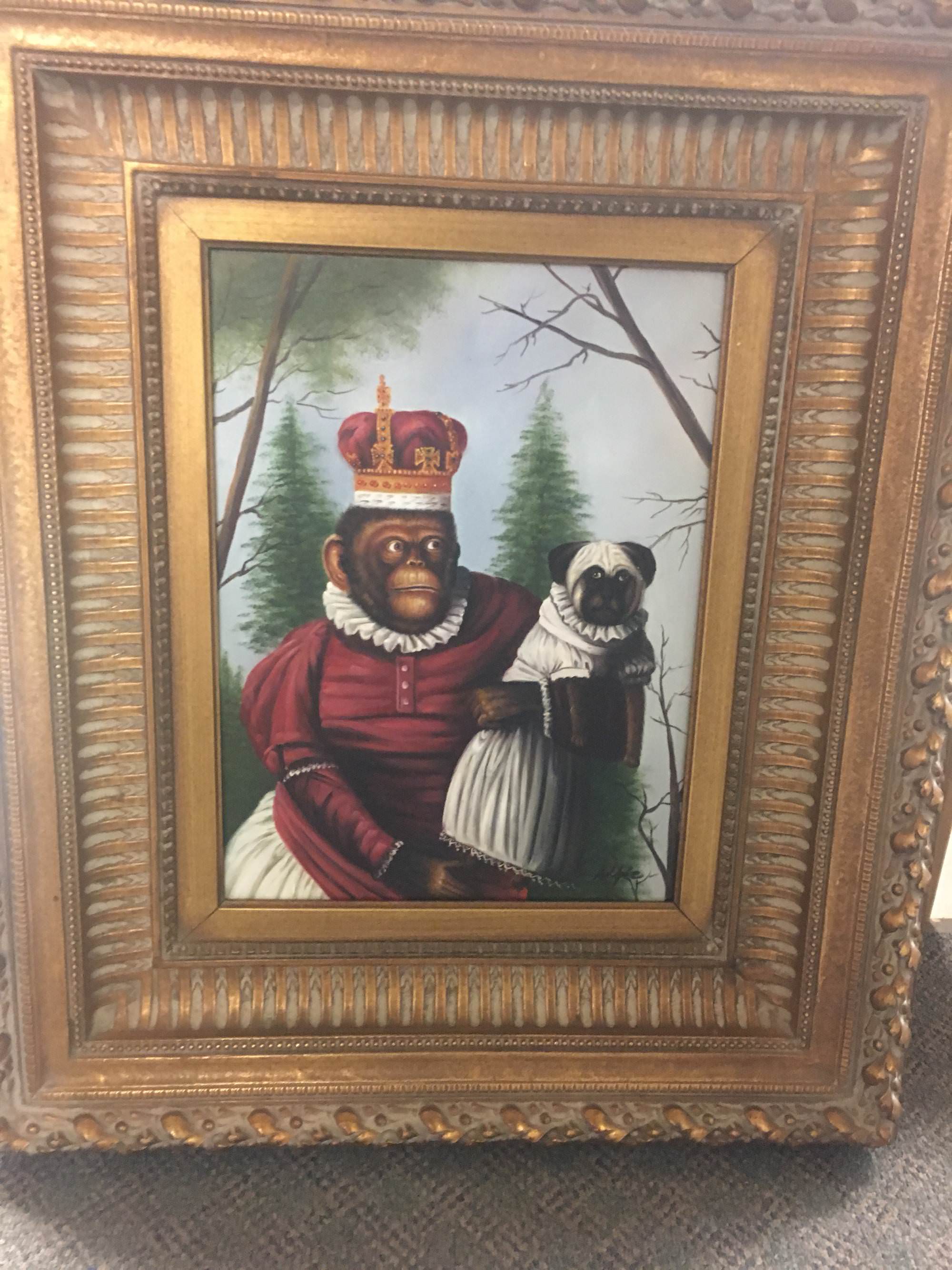 Monkey and a pug | Scrolller