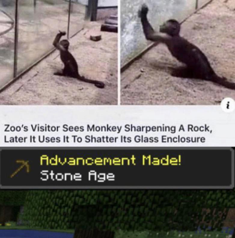 Monkey has evolved | Scrolller