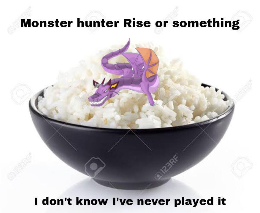 Monster Hunter Rice | Scrolller