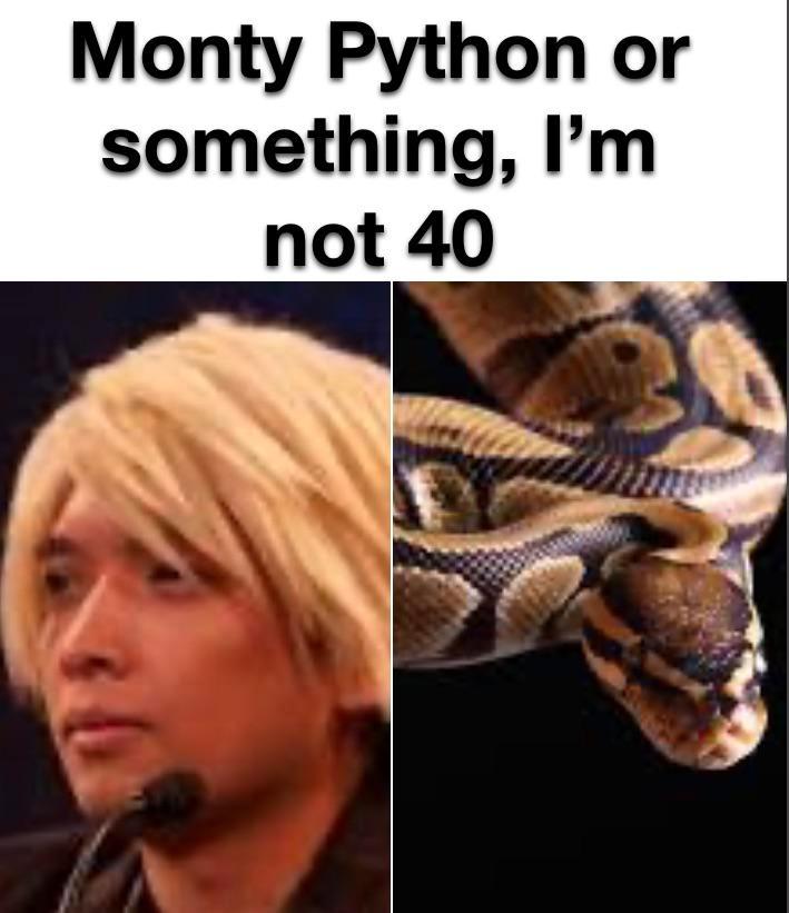 Monty Python | Scrolller