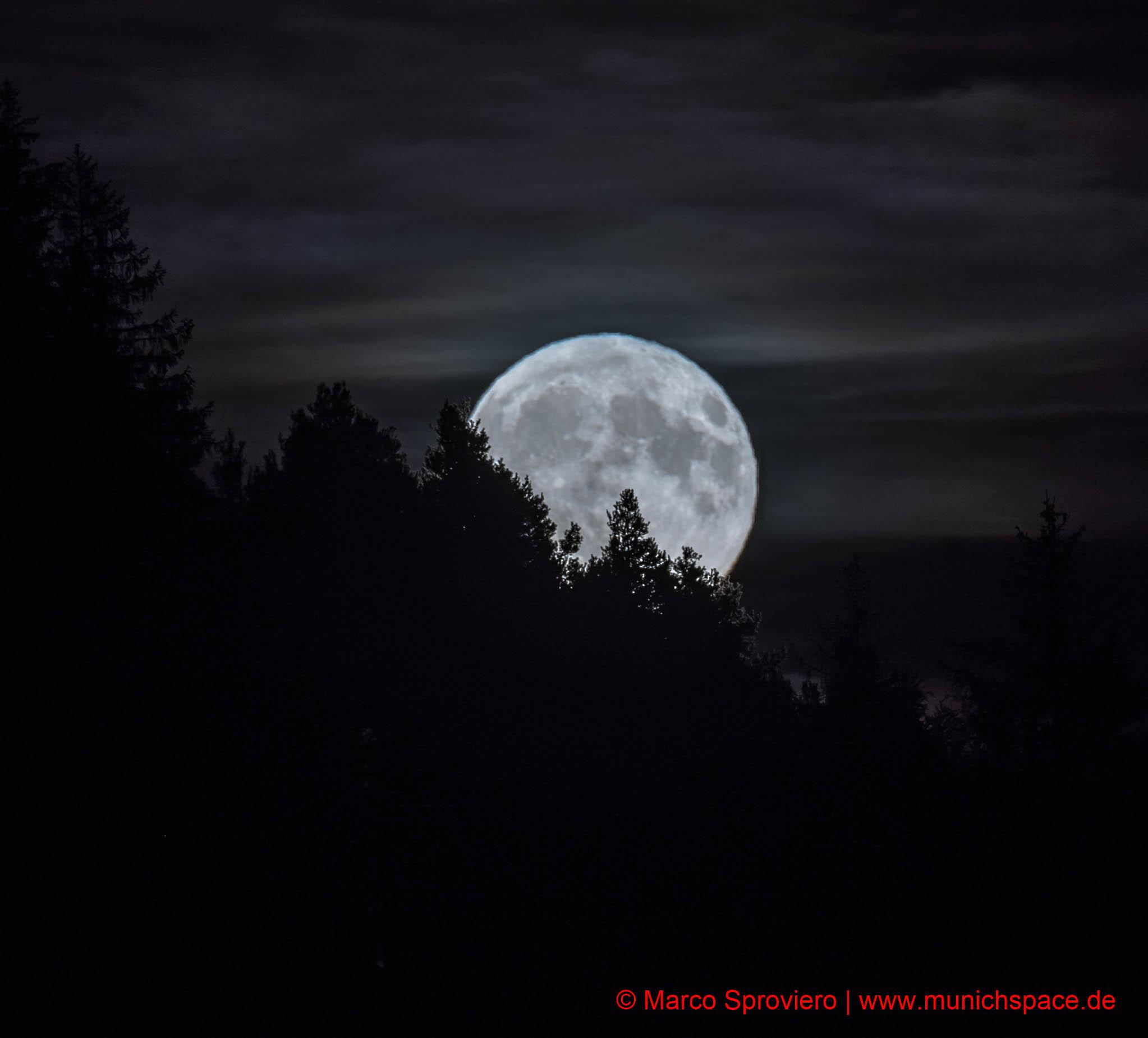 Moon rising behind wood in Italy | Scrolller