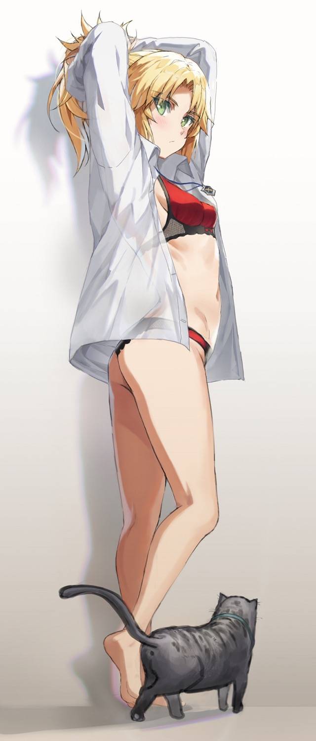 Mordred lingerie (full body version) | Scrolller
