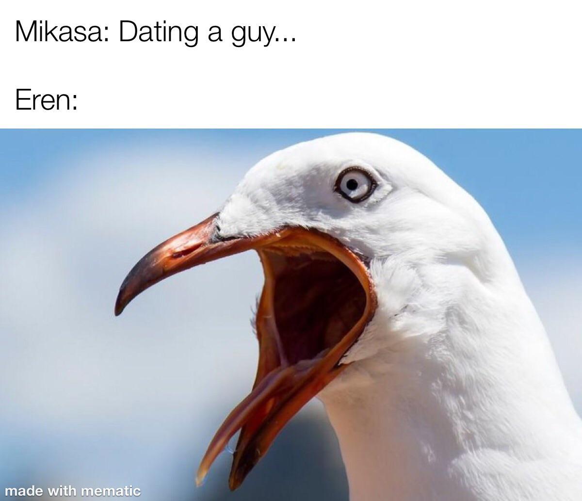 More Eren Bird Memes | Scrolller