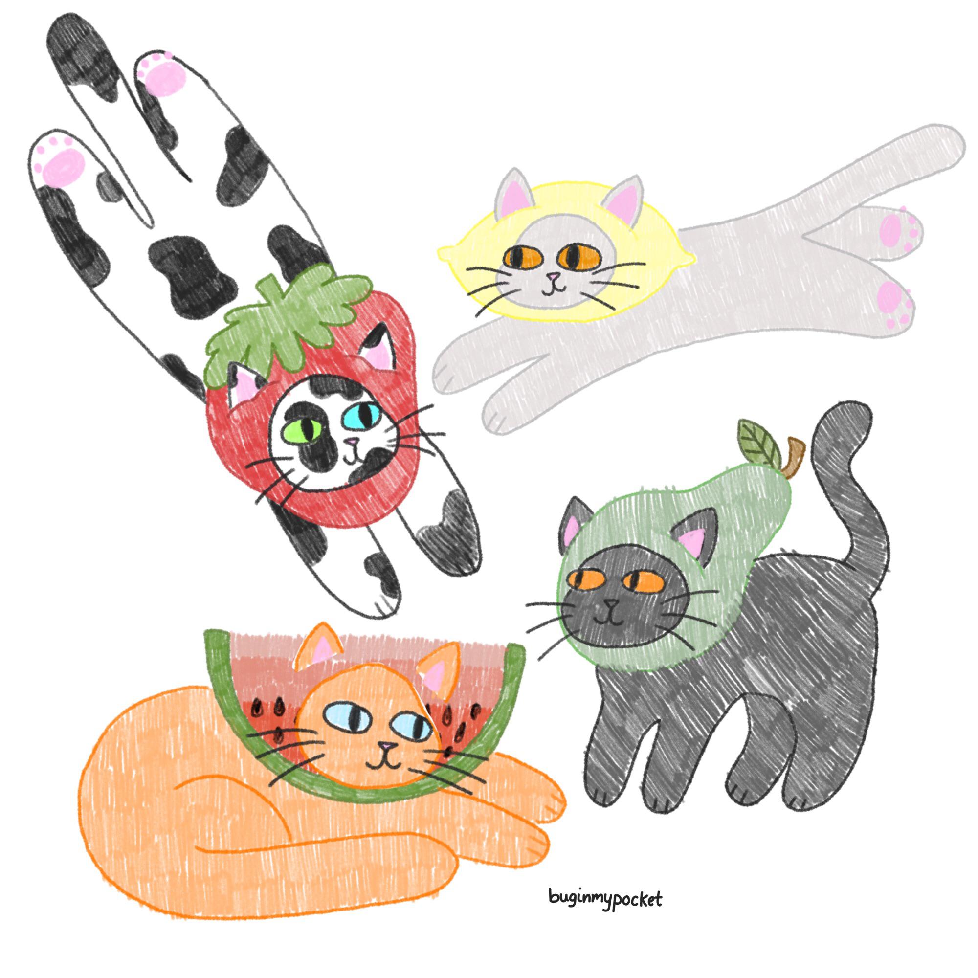 More Fruit Cats 🍓🍋🍉🍐 Scrolller