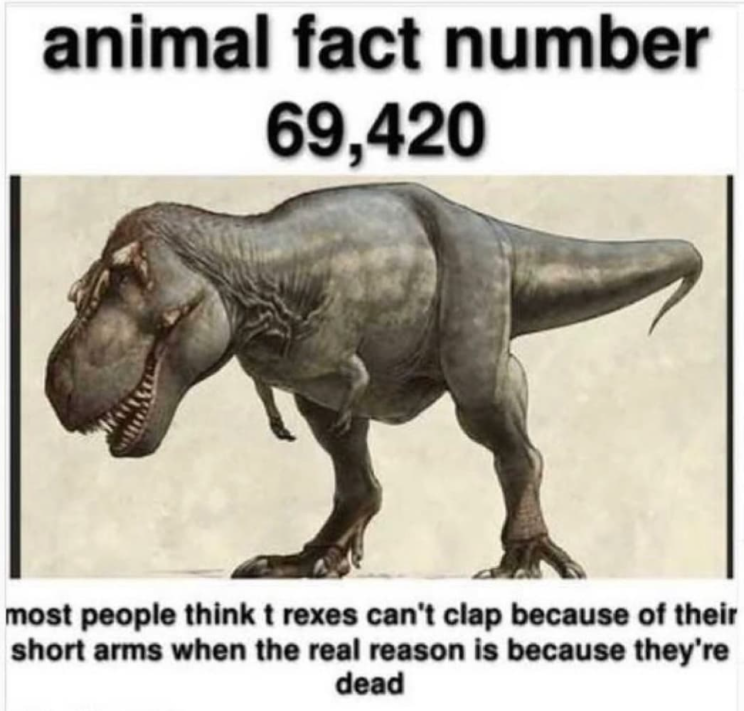 More useless facts coming up | Scrolller