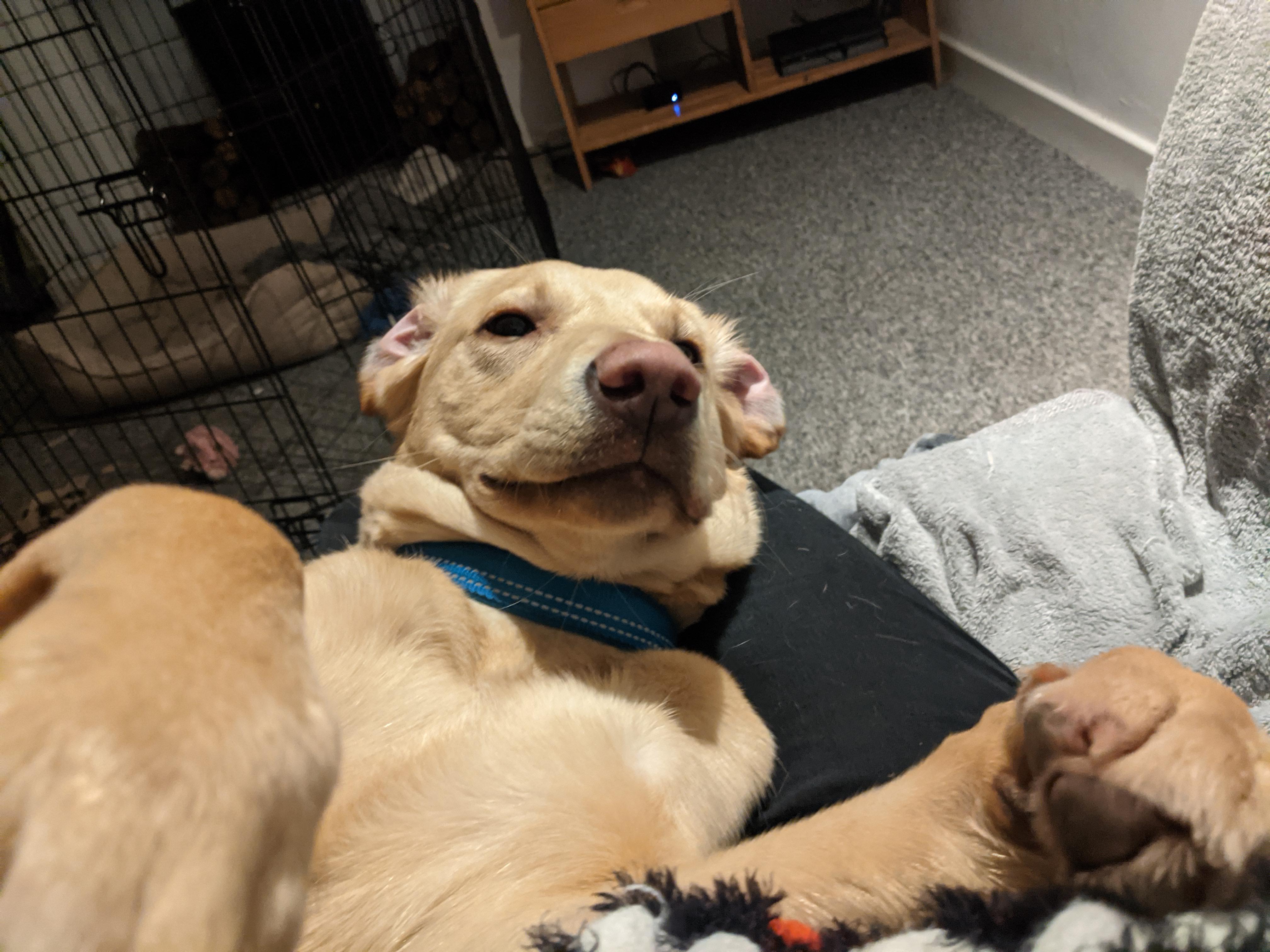 Morning cuddles with this squish | Scrolller