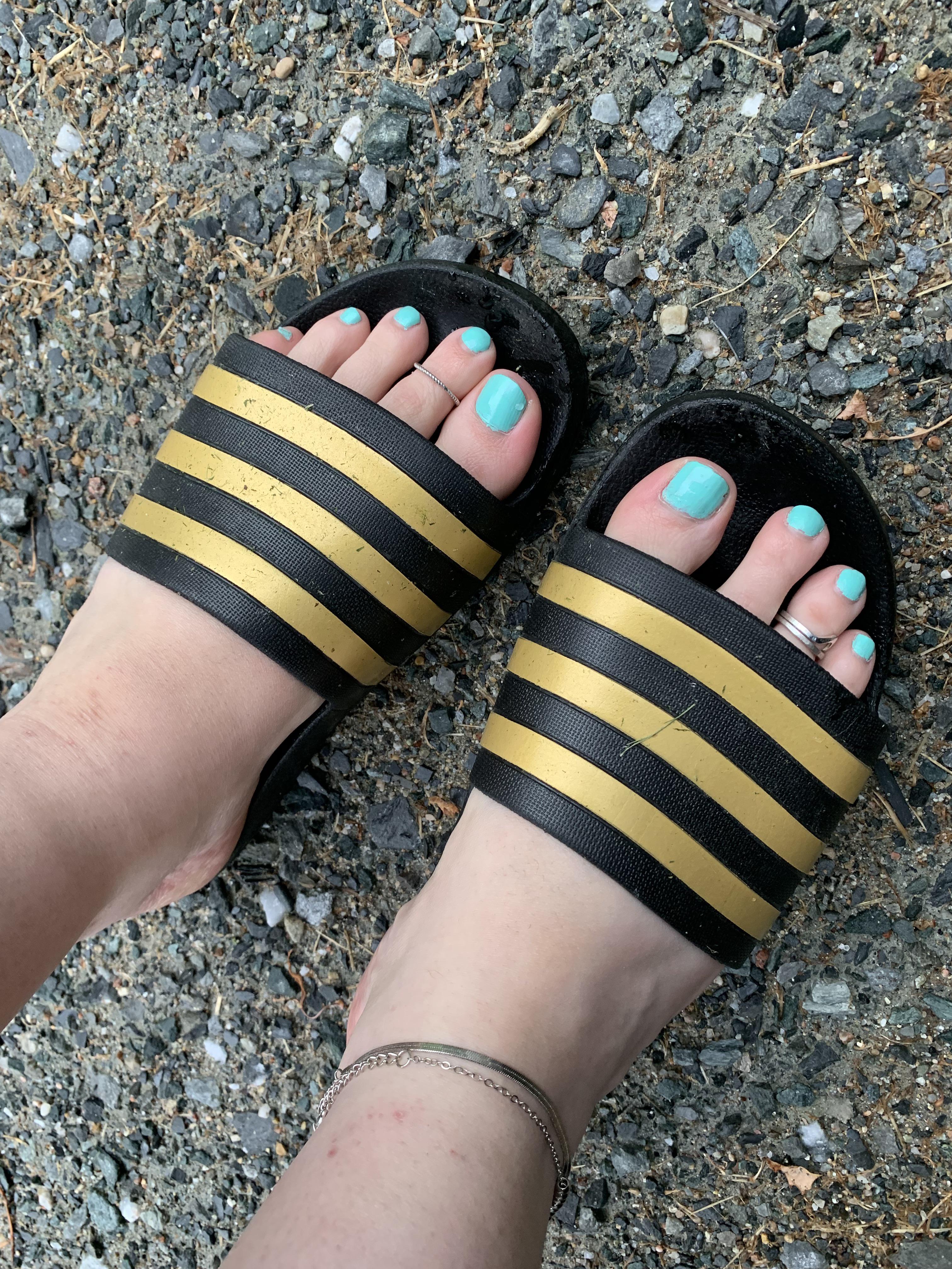 Morning dog walk in slides | Scrolller