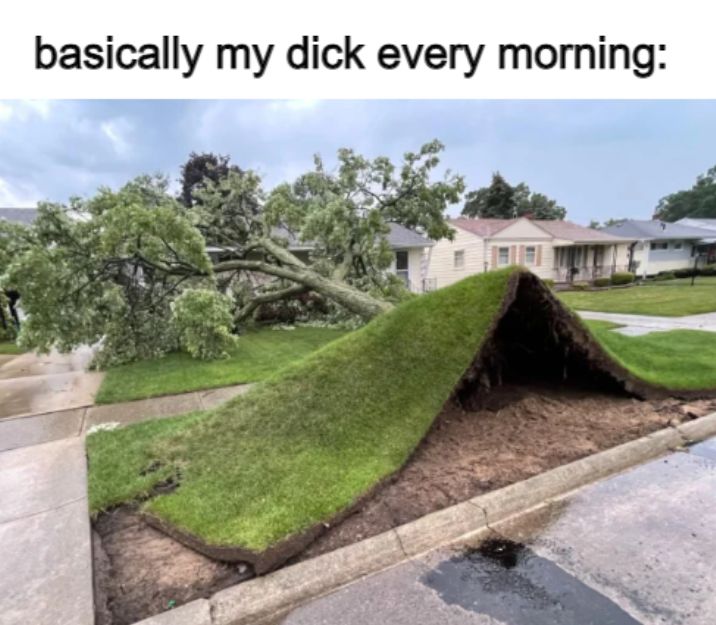 Morning Wood Scrolller 5988