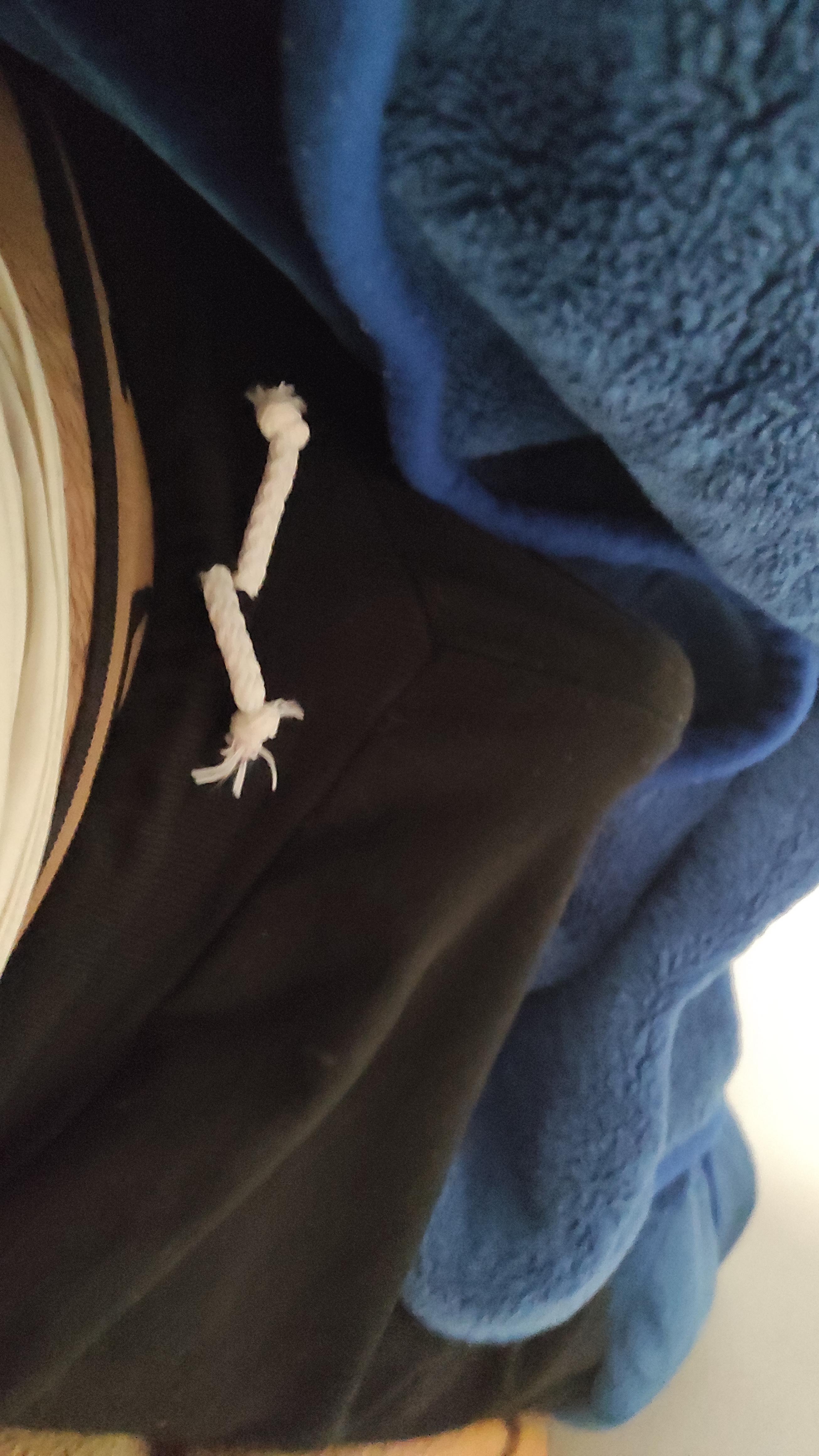 Morning wood | Scrolller