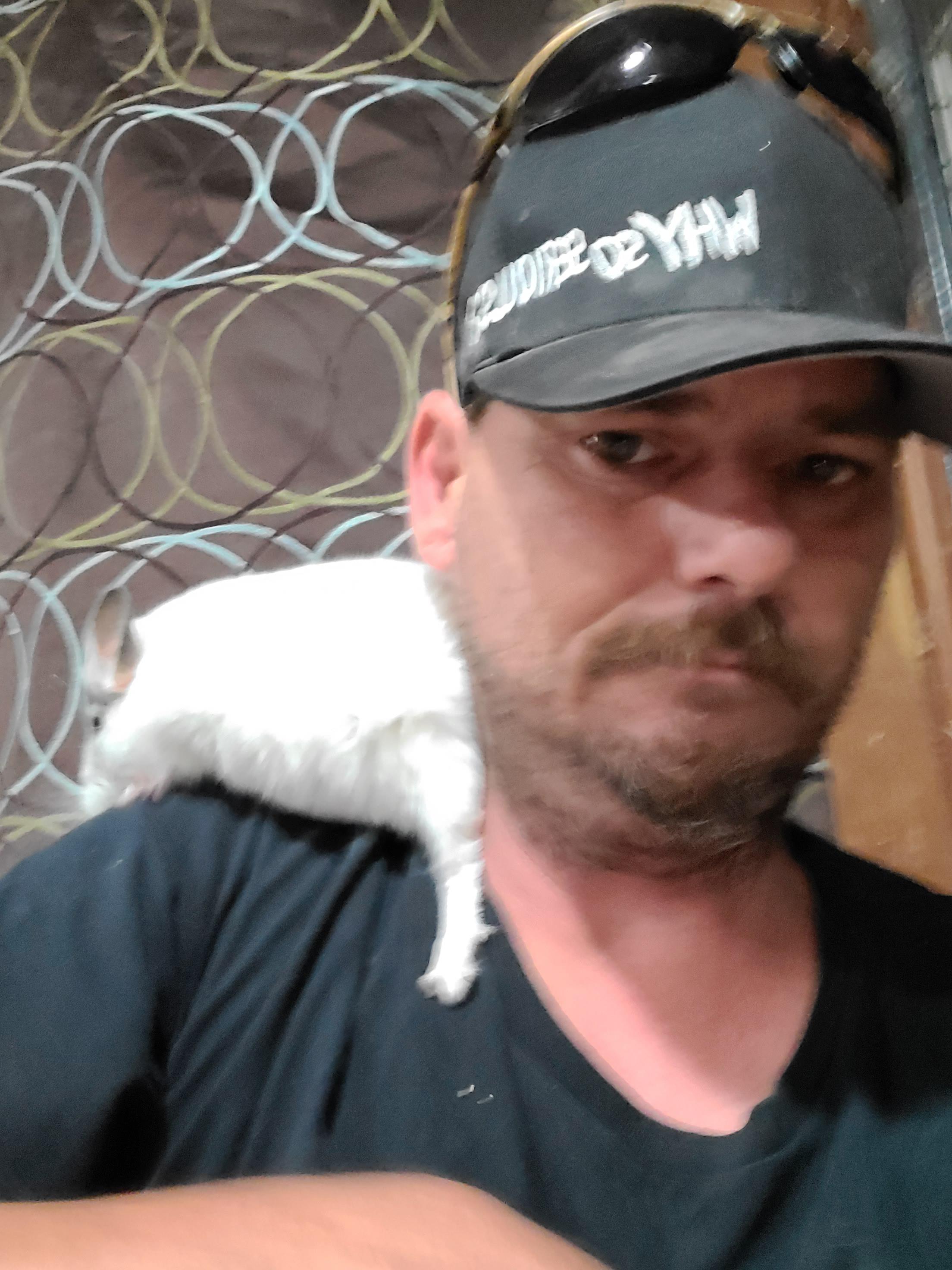 Mosaic violet carrier likes to chillax on me when in barn. | Scrolller