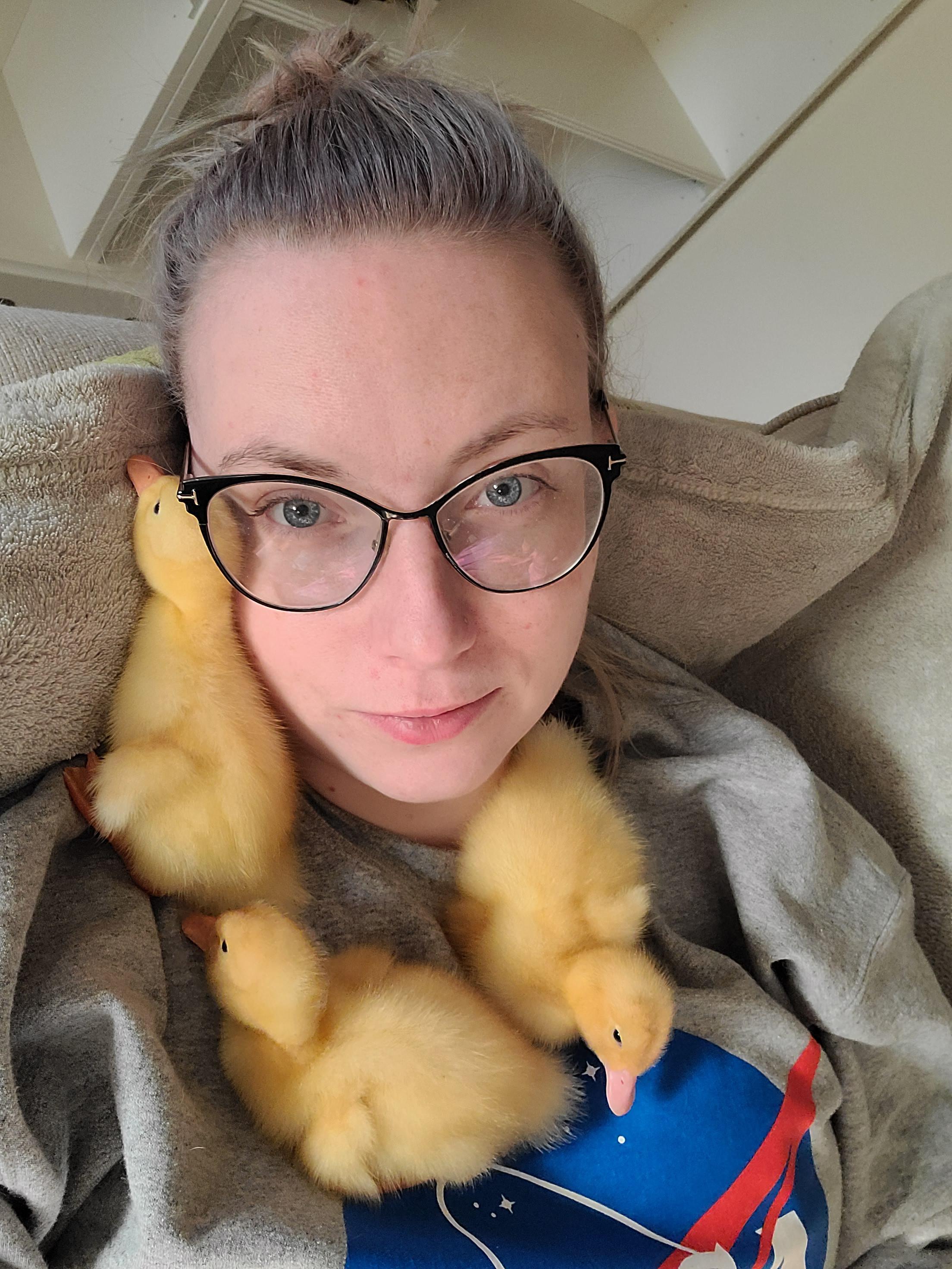 Mother of Ducks | Scrolller