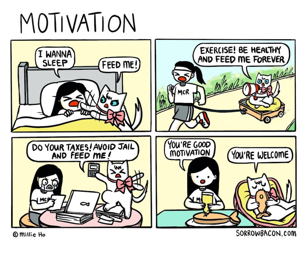 Motivation | Scrolller