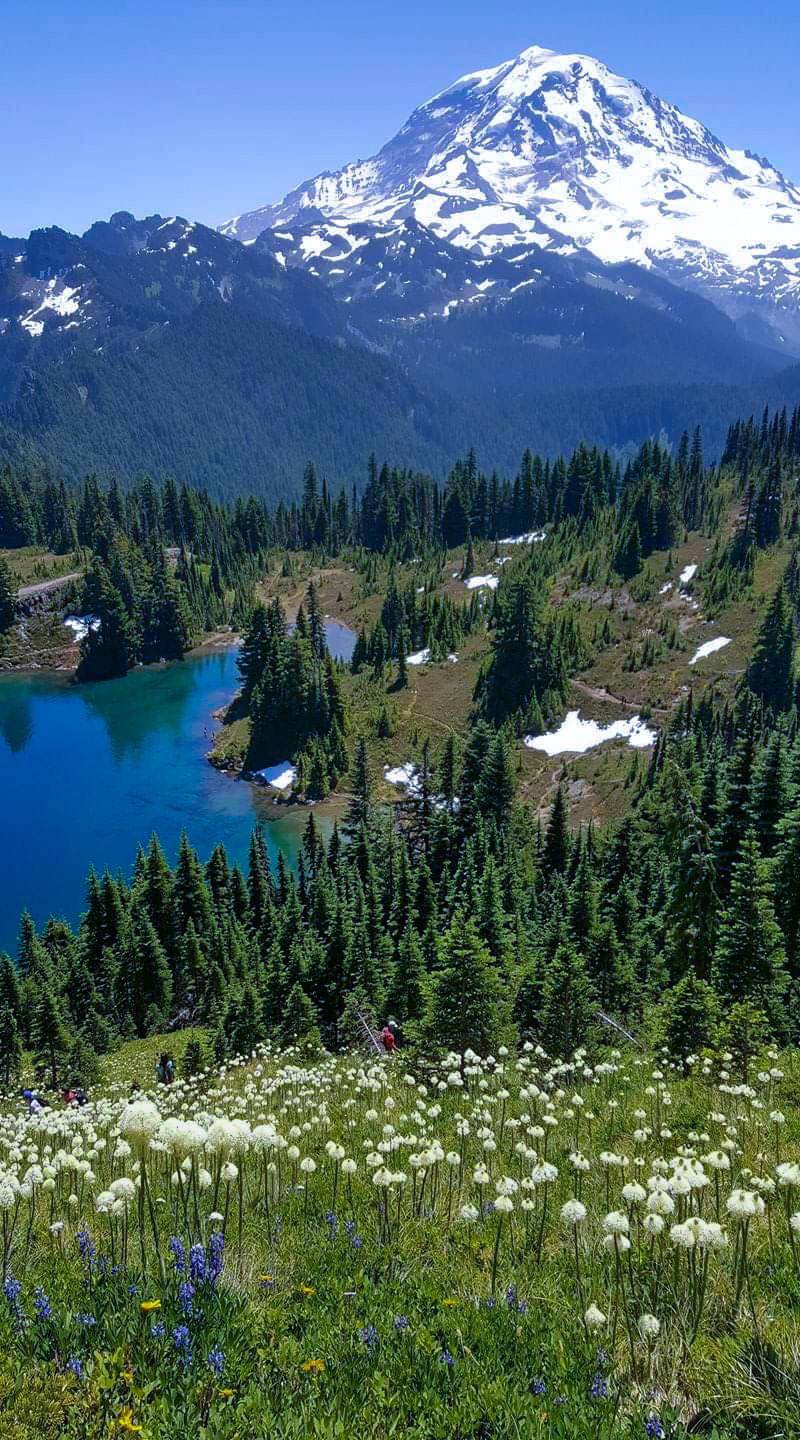 Mount Rainier (WA State, USA) on a Summer day [OC] | Scrolller