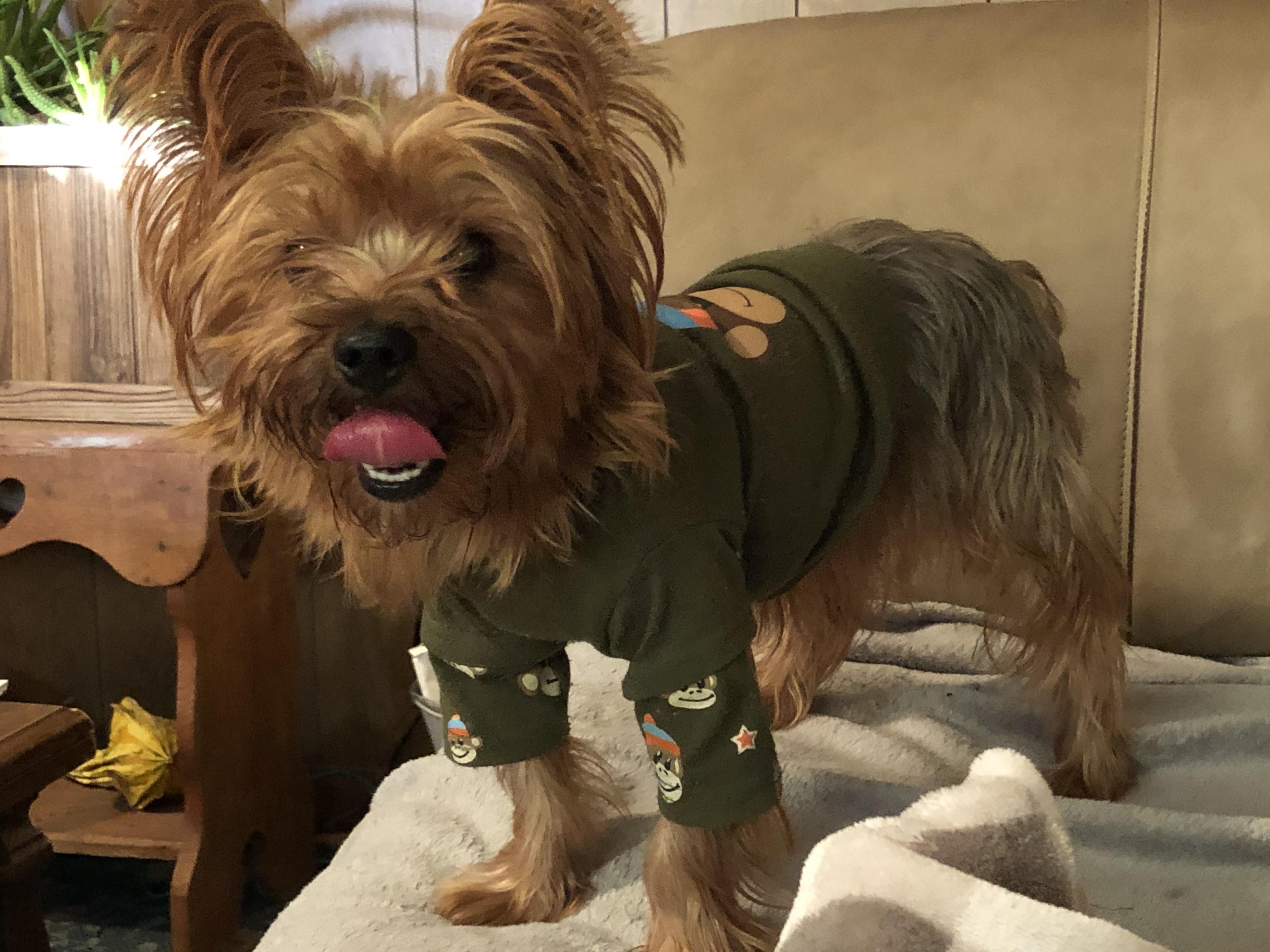 Mr Baxter ready for playtime! ⚽️ | Scrolller