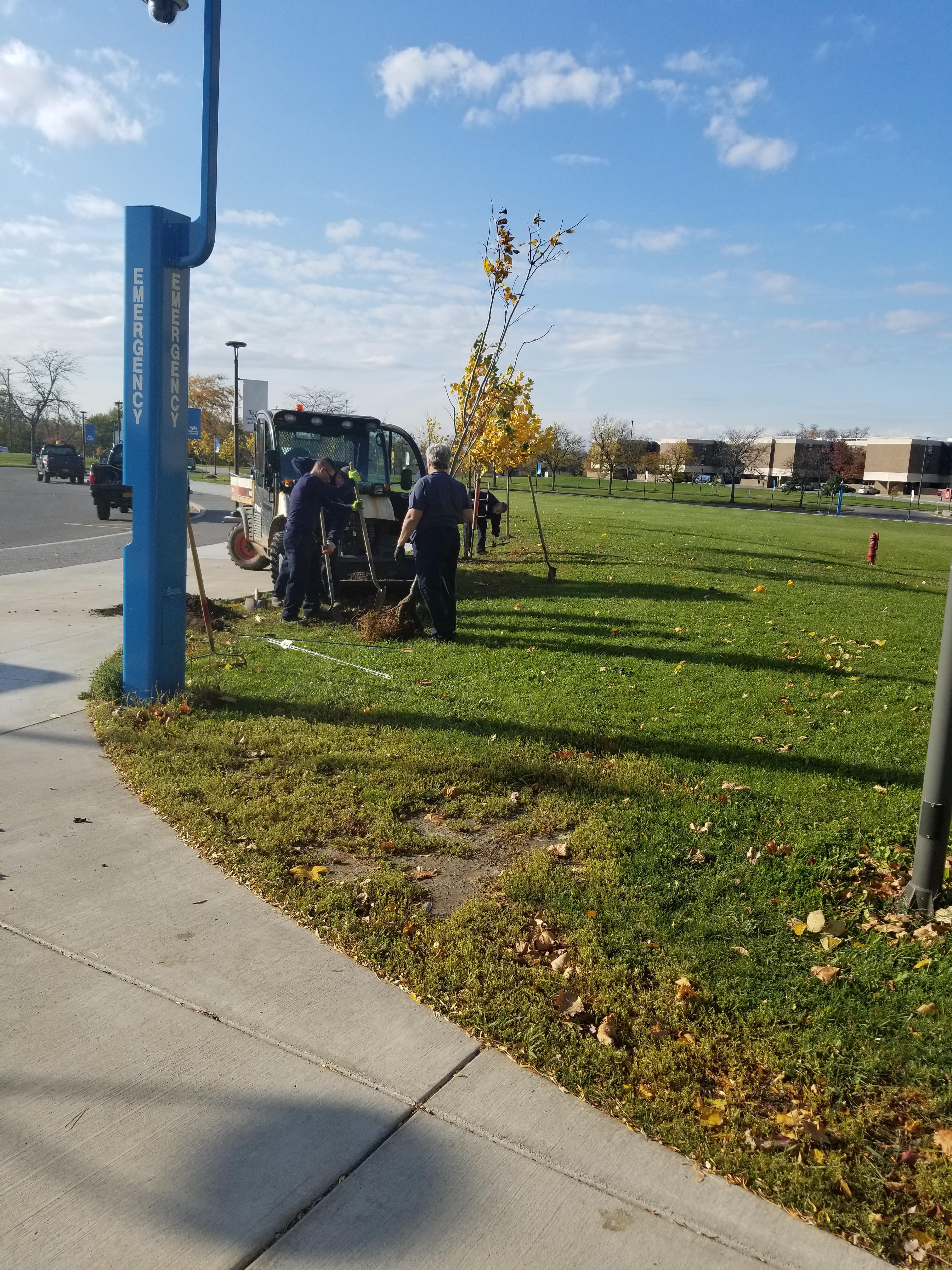 Mr. Beast: plants trees. UB: Gotta step up our game | Scrolller