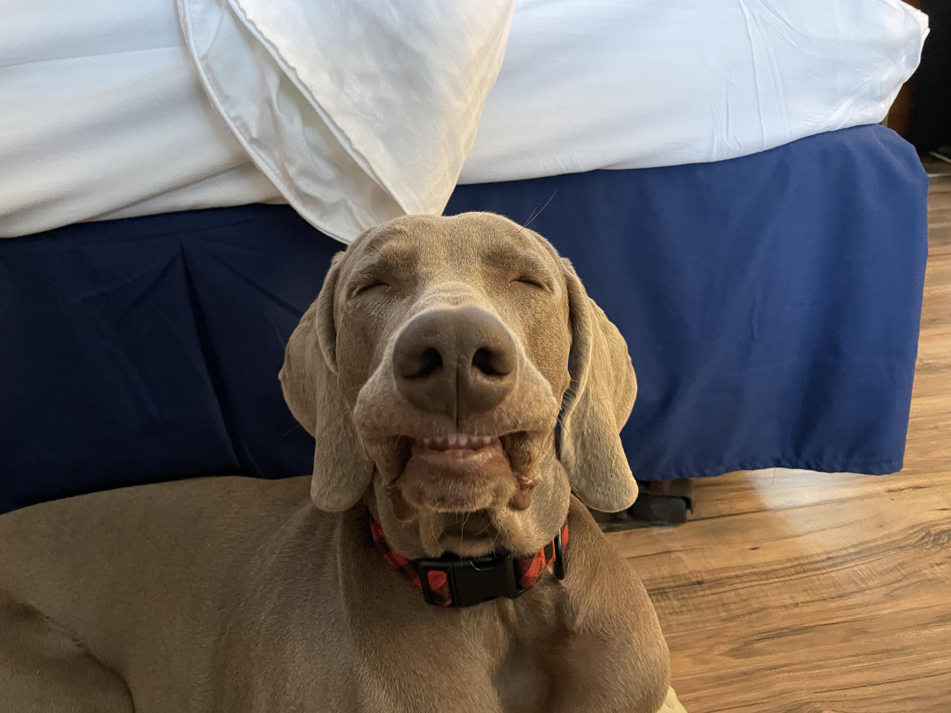 Mr. Derp | Scrolller