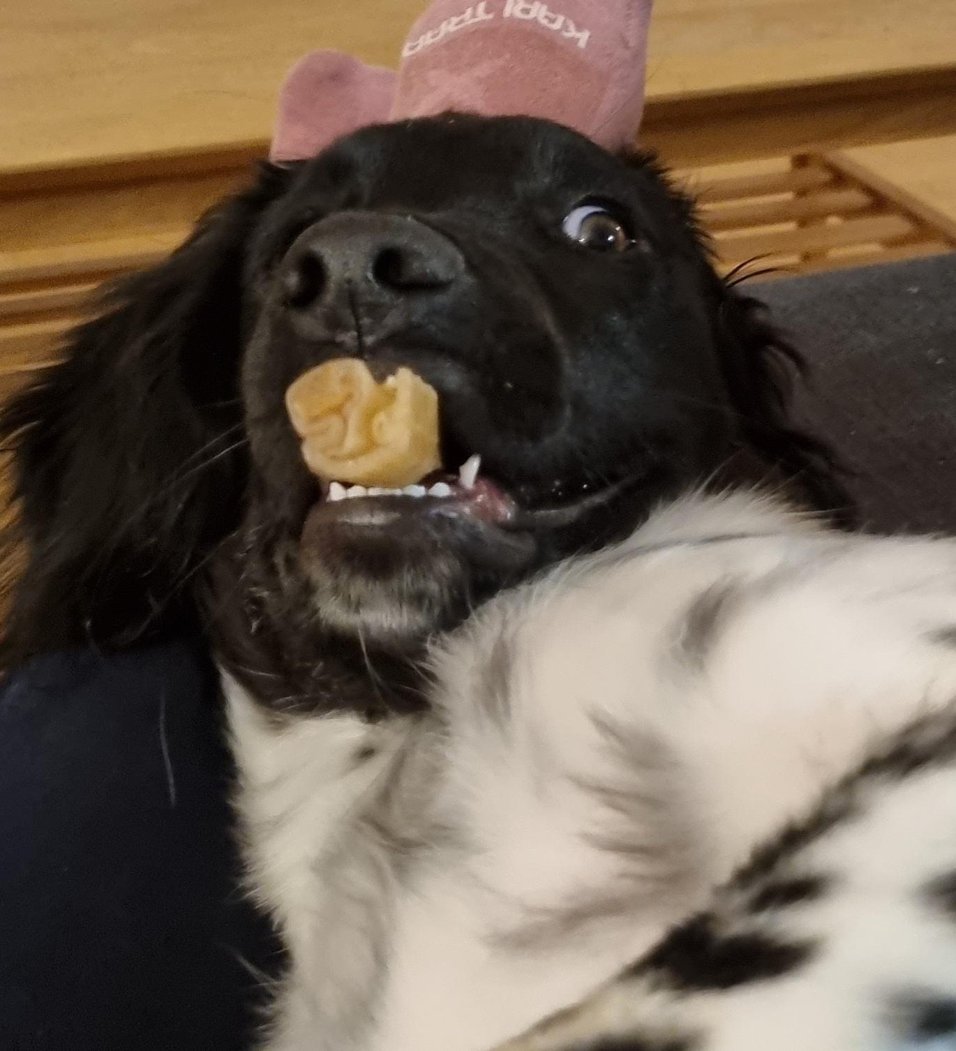 Mr McDerpyface | Scrolller