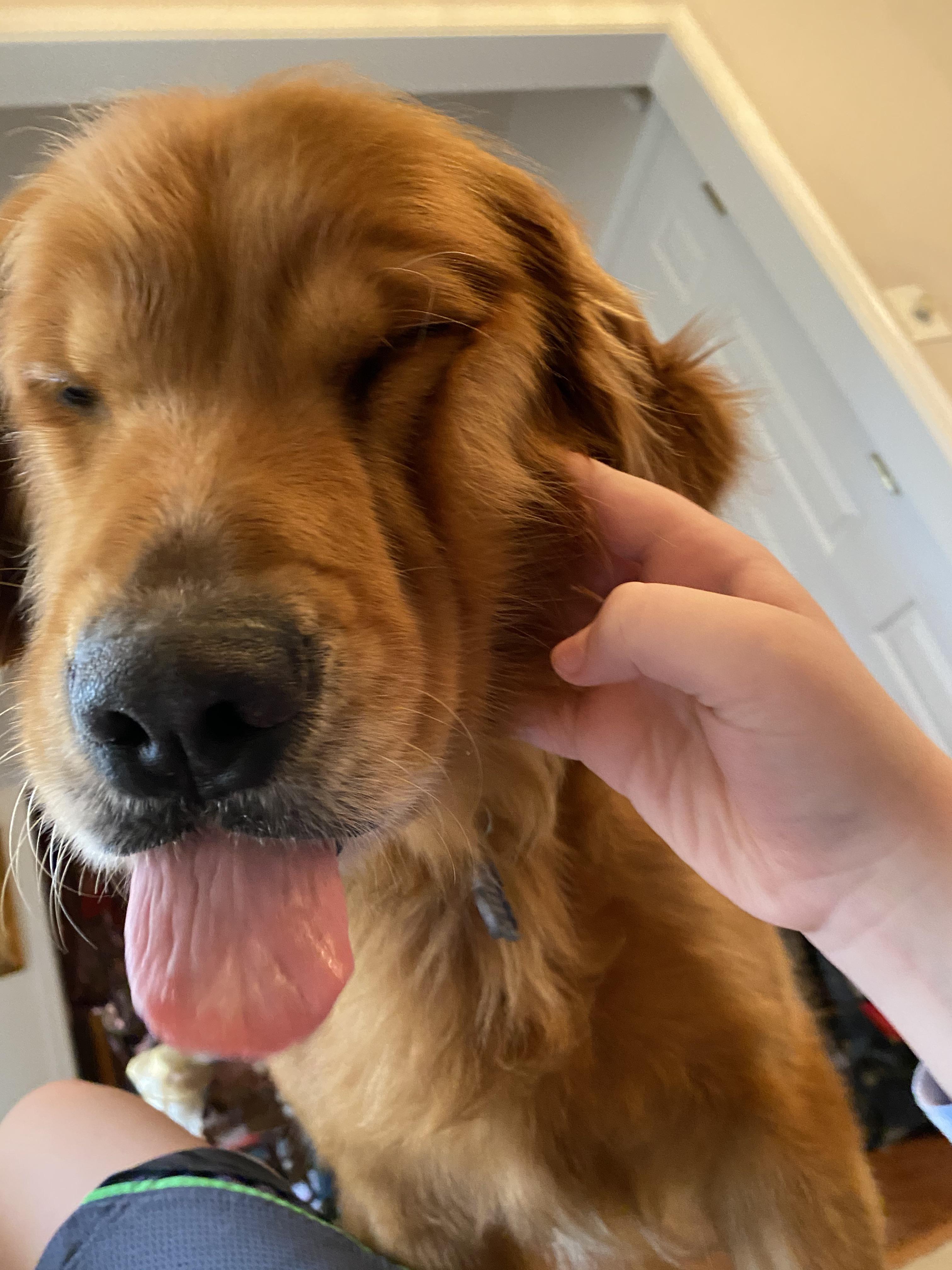 Mr squish being a derpy boy. | Scrolller