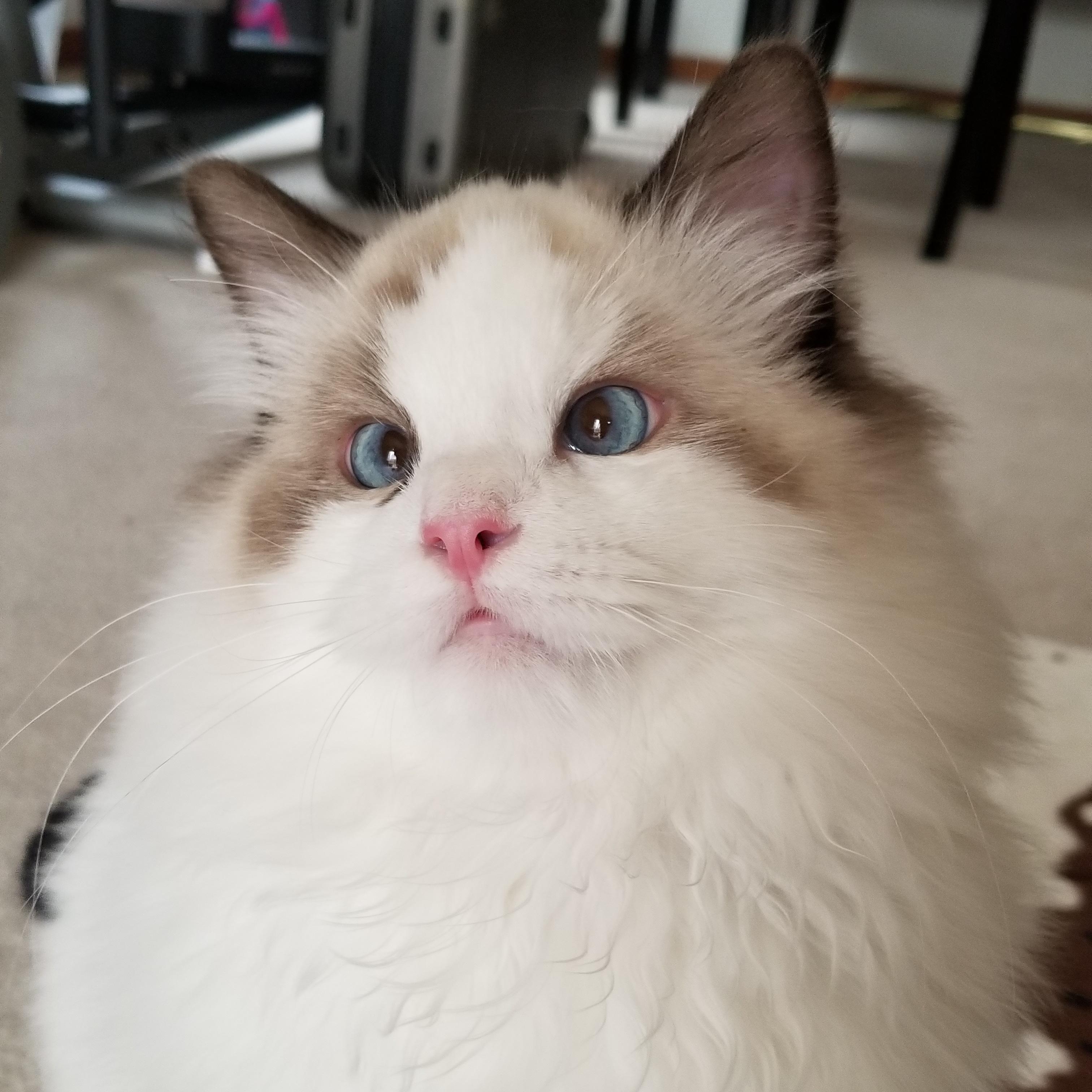 Mr Wilson just looking dapper | Scrolller