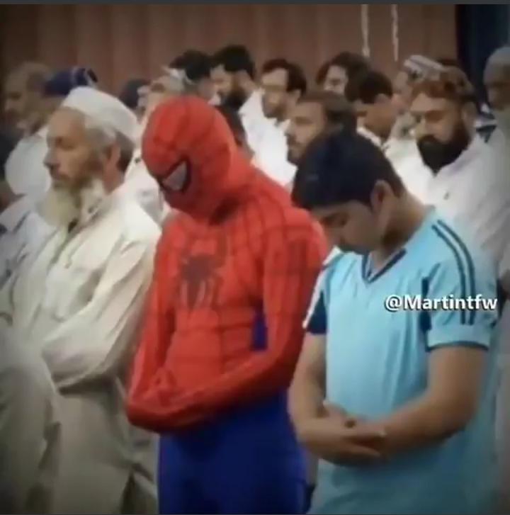 Multiverse is madness Peter. | Scrolller