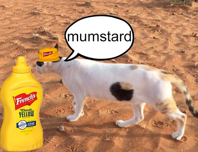Mum Scrolller